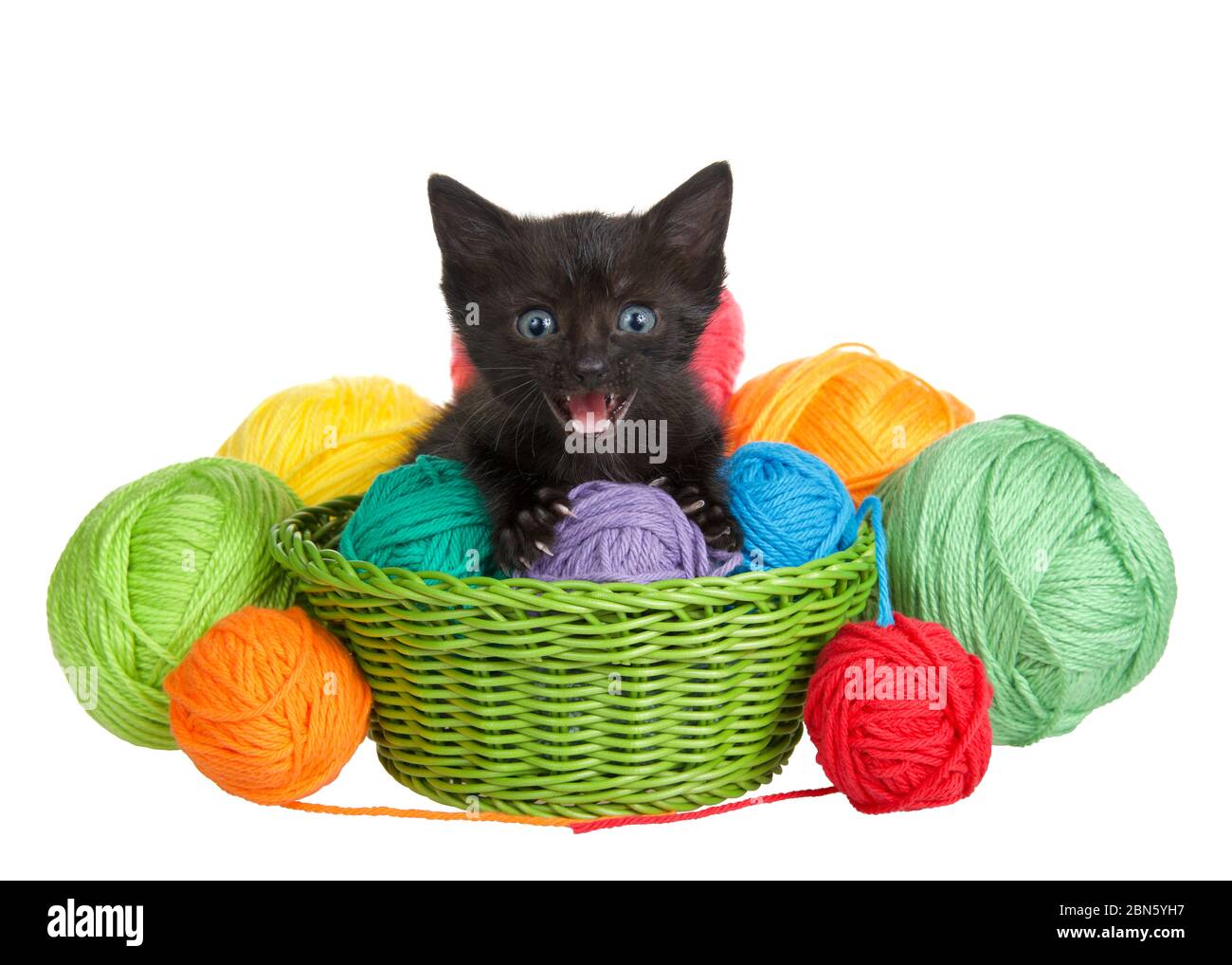 Baby bright blue eyes Cut Out Stock Images & Pictures - Alamy