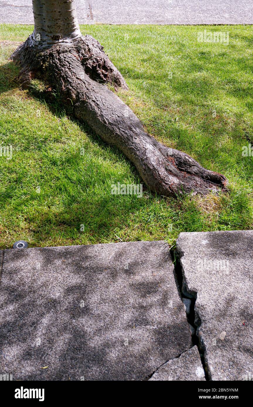 Tripping hazard hi-res stock photography and images - Alamy