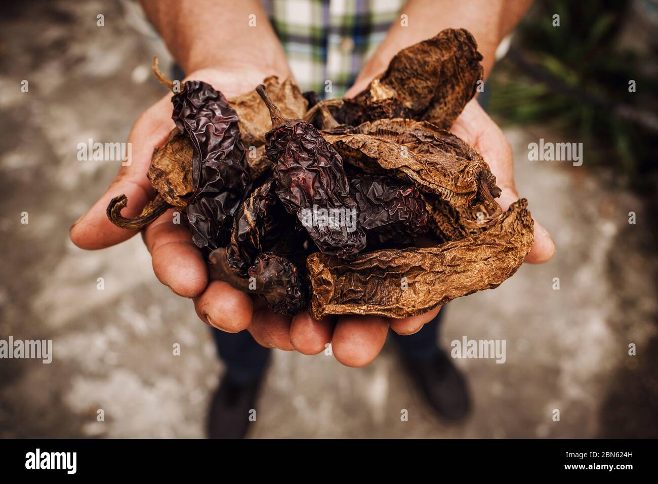chile Chipotle, mexican dried chili pepper, Assortment of chili peppers ...