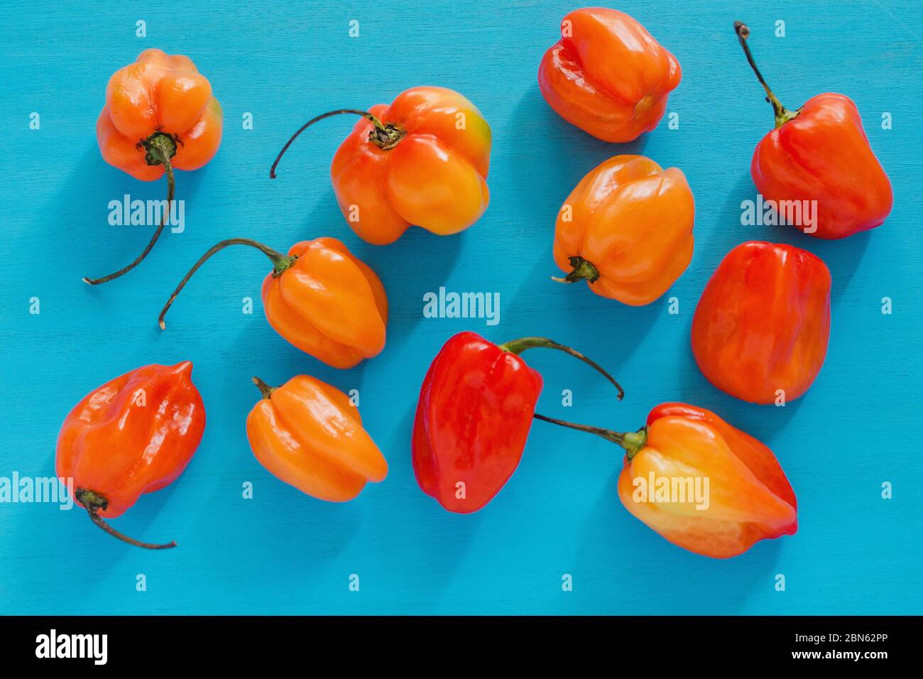 habanero, chiles habaneros, spicy ripe habanero hot chili peppers ...