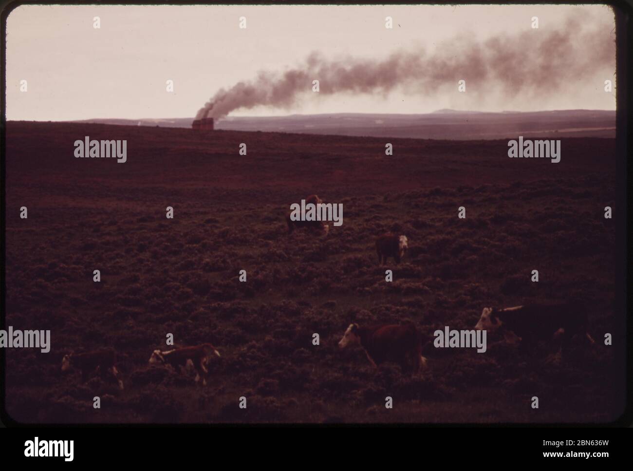 Dave johnston power plant hi-res stock photography and images - Alamy