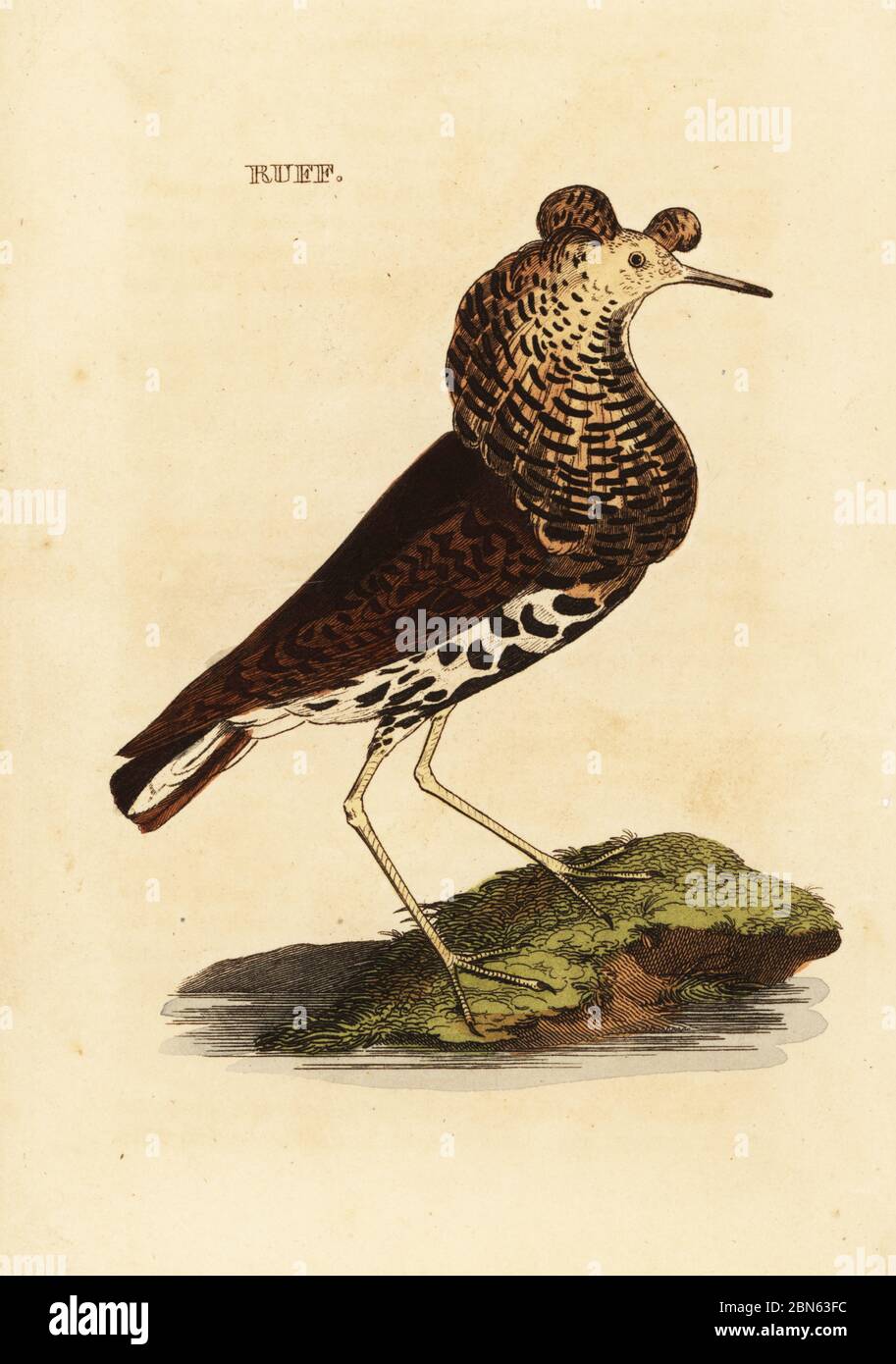 Charles Ruff High Resolution Stock Photography and Images - Alamy