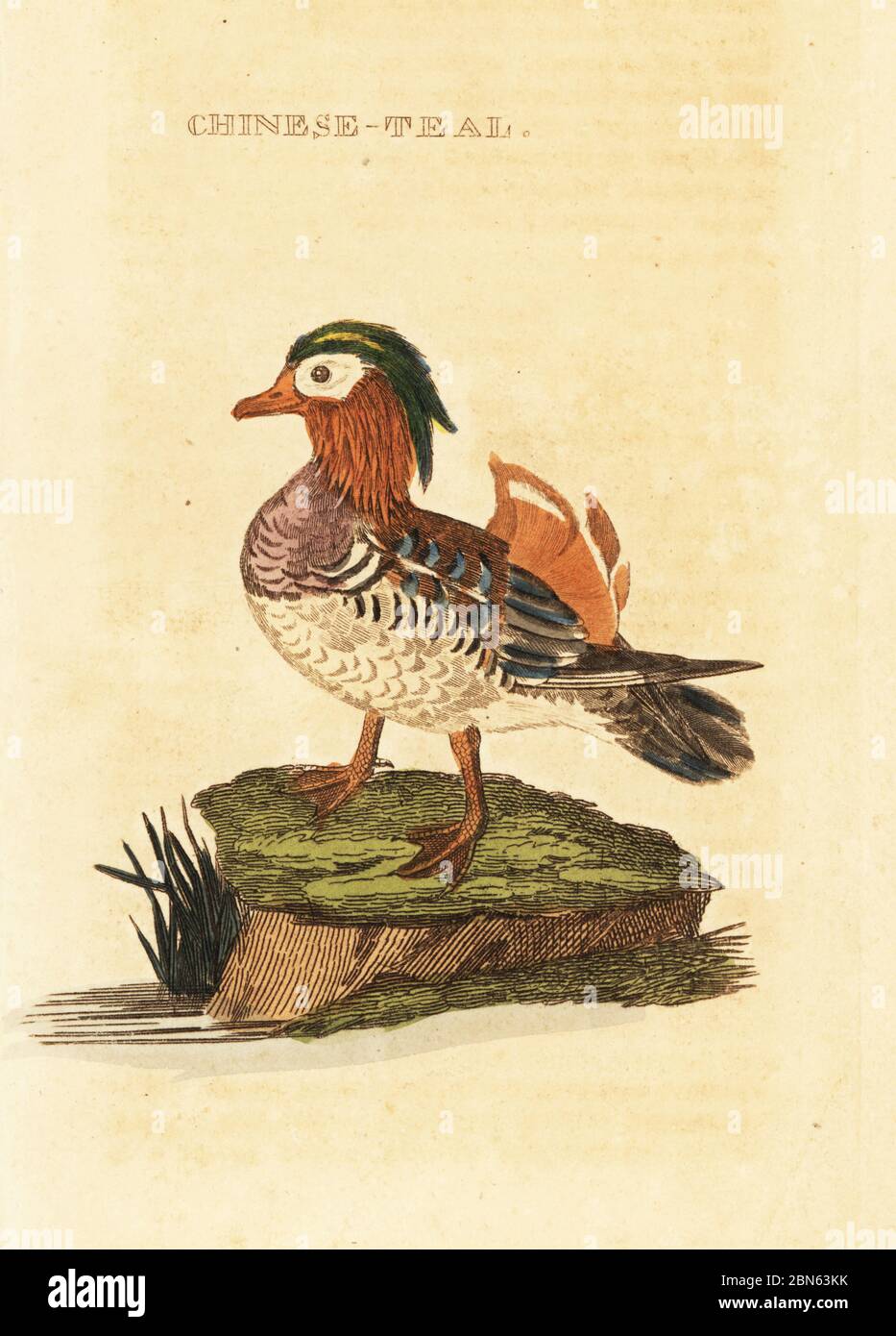 Chinese art birds hi-res stock photography and images - Alamy