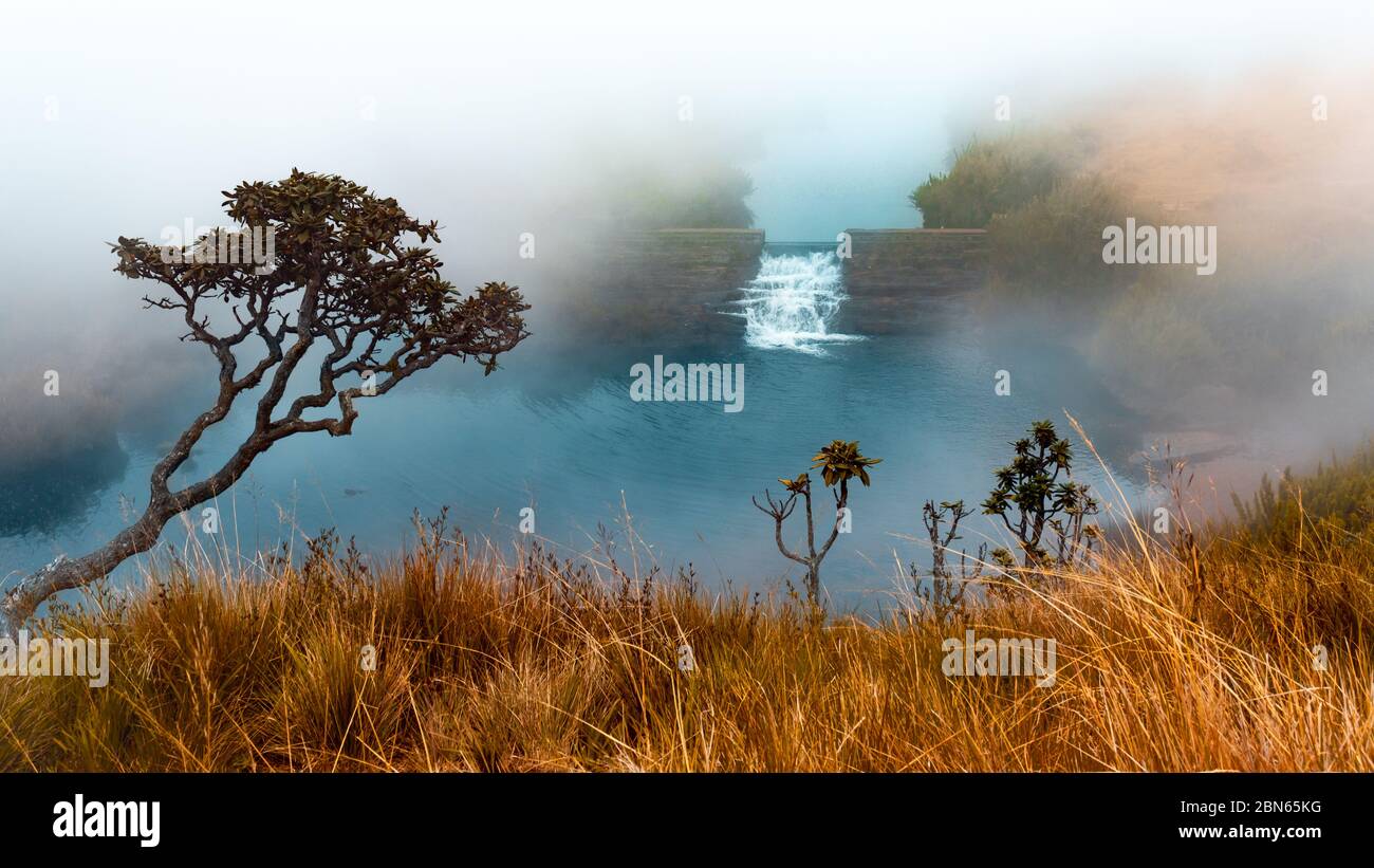Foggy climate hi-res stock photography and images - Alamy