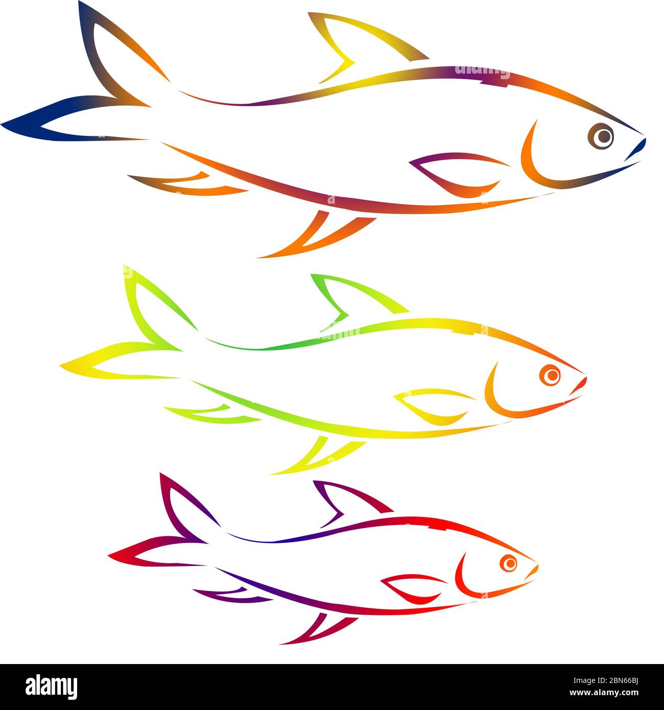 colorful fish on white background Stock Photo - Alamy