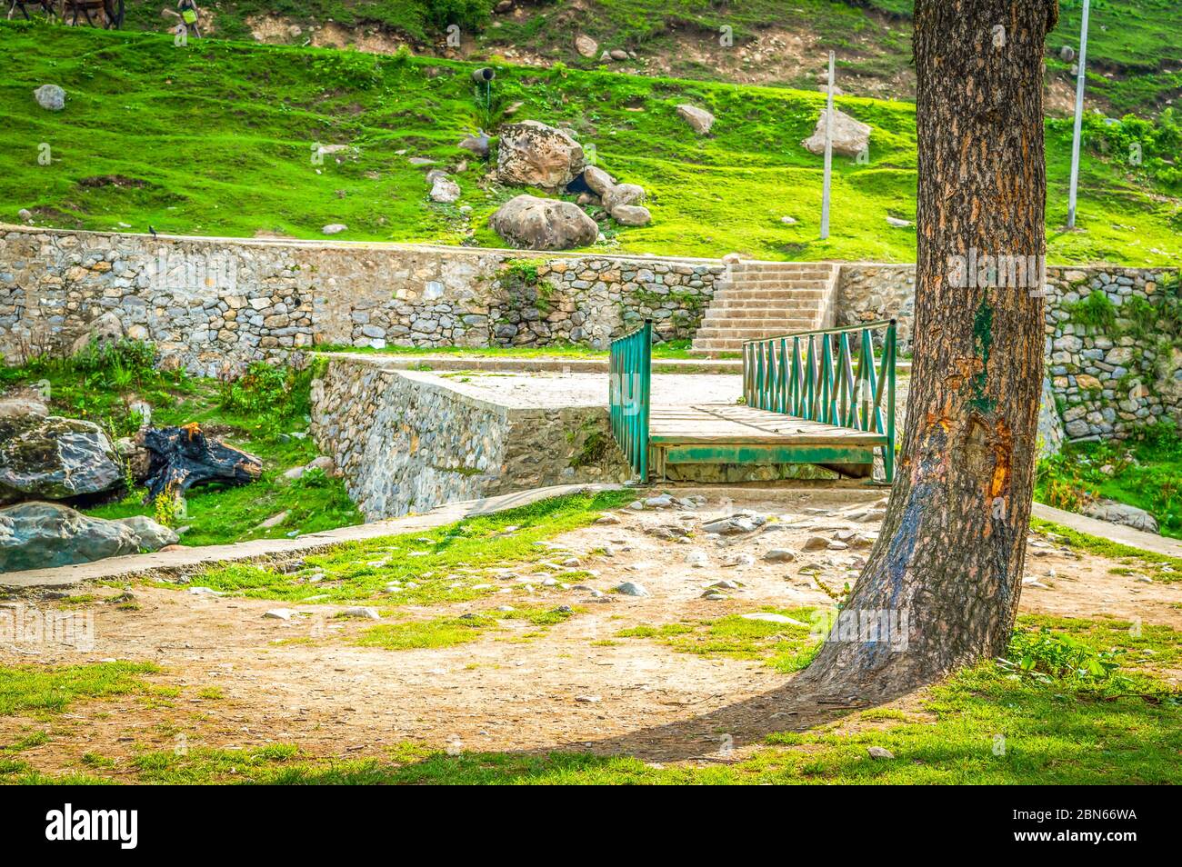 Kashmir tree hi-res stock photography and images - Alamy