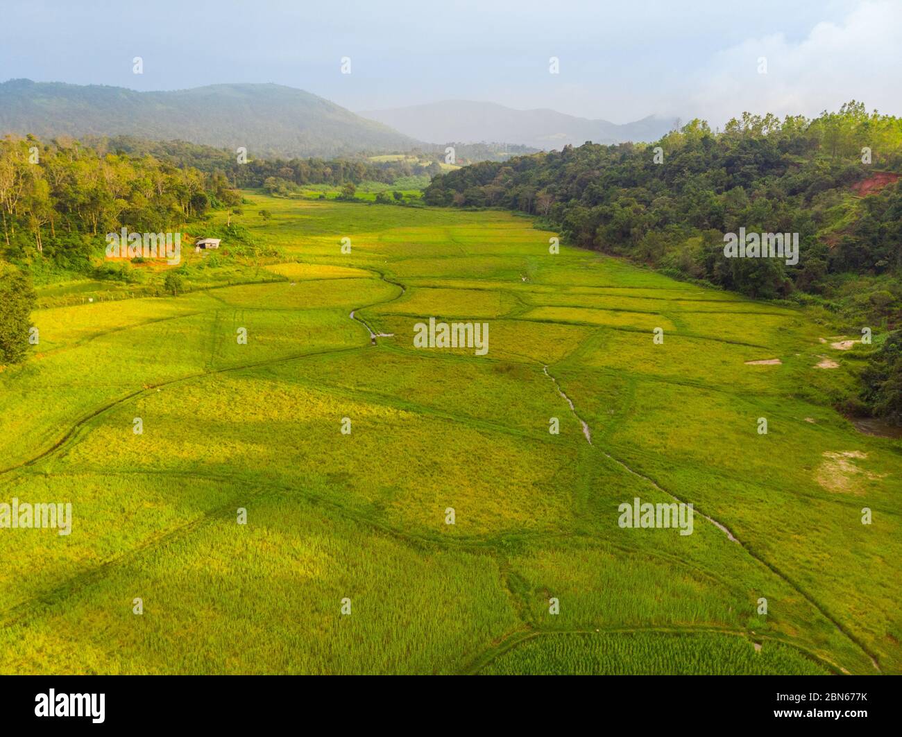 Aerial paddy hi-res stock photography and images - Alamy