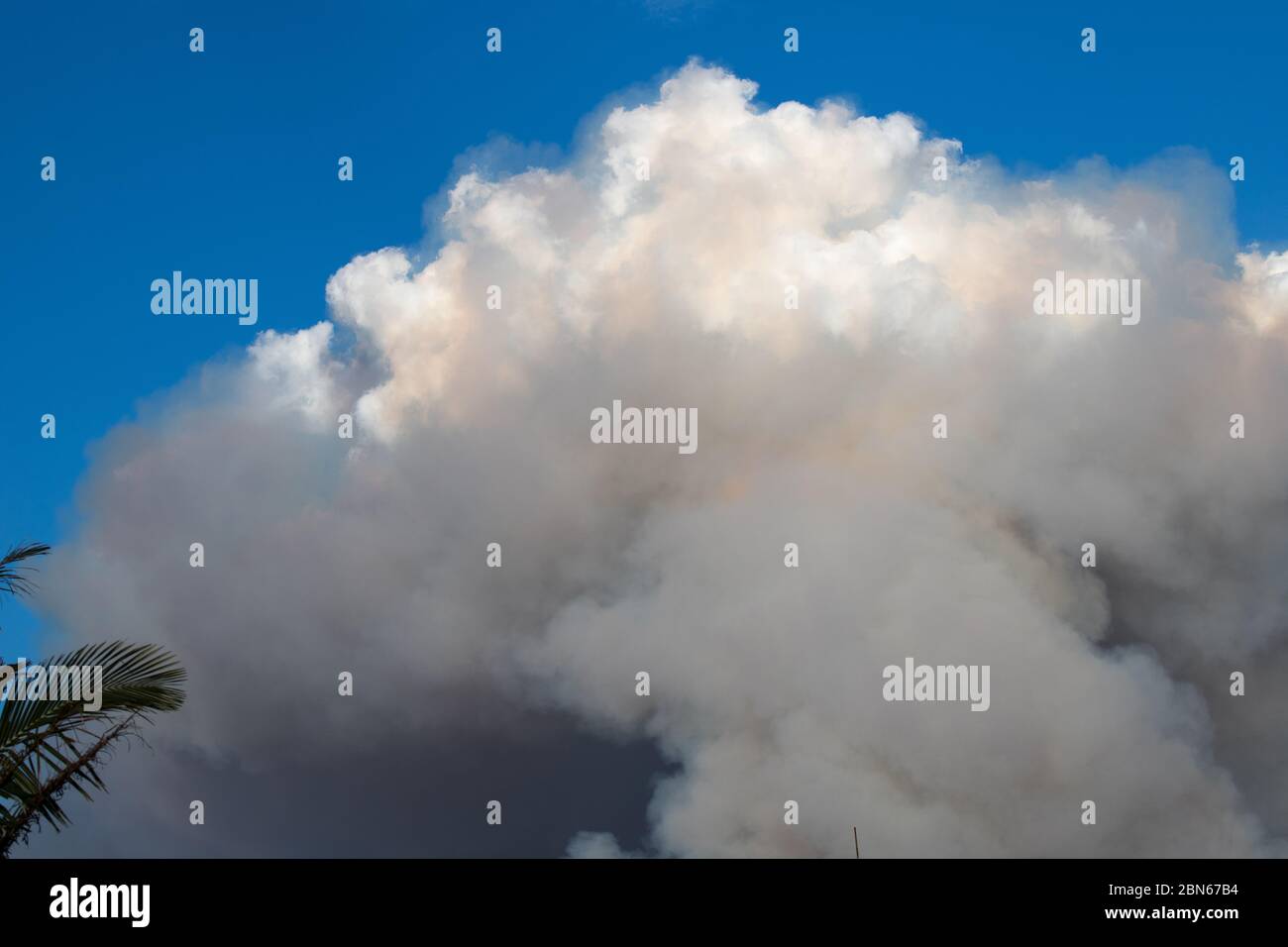 Bush fire reduction hi-res stock photography and images - Alamy