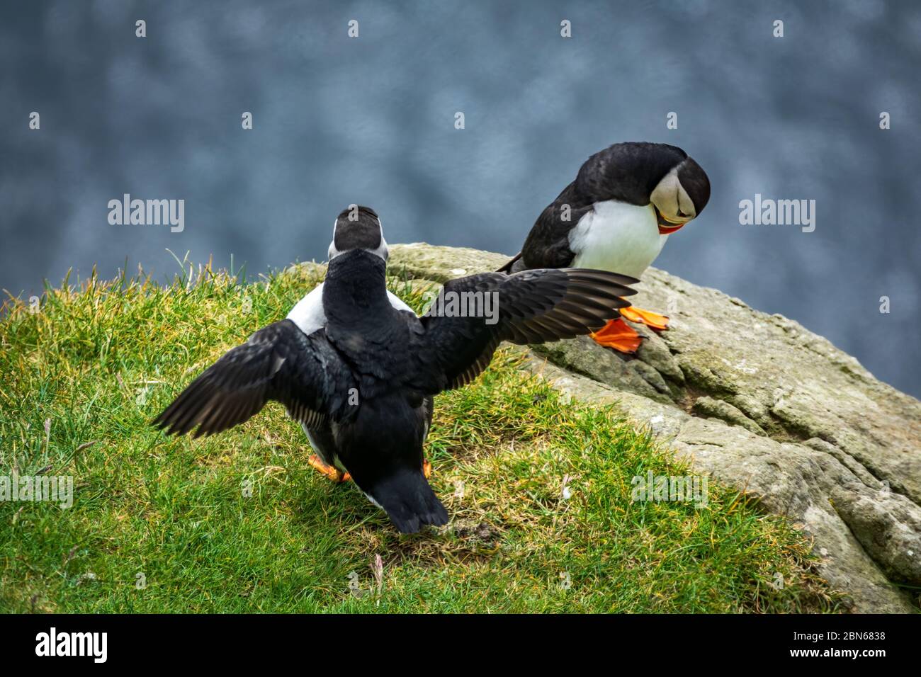 Couple flapping wings hi-res stock photography and images - Alamy