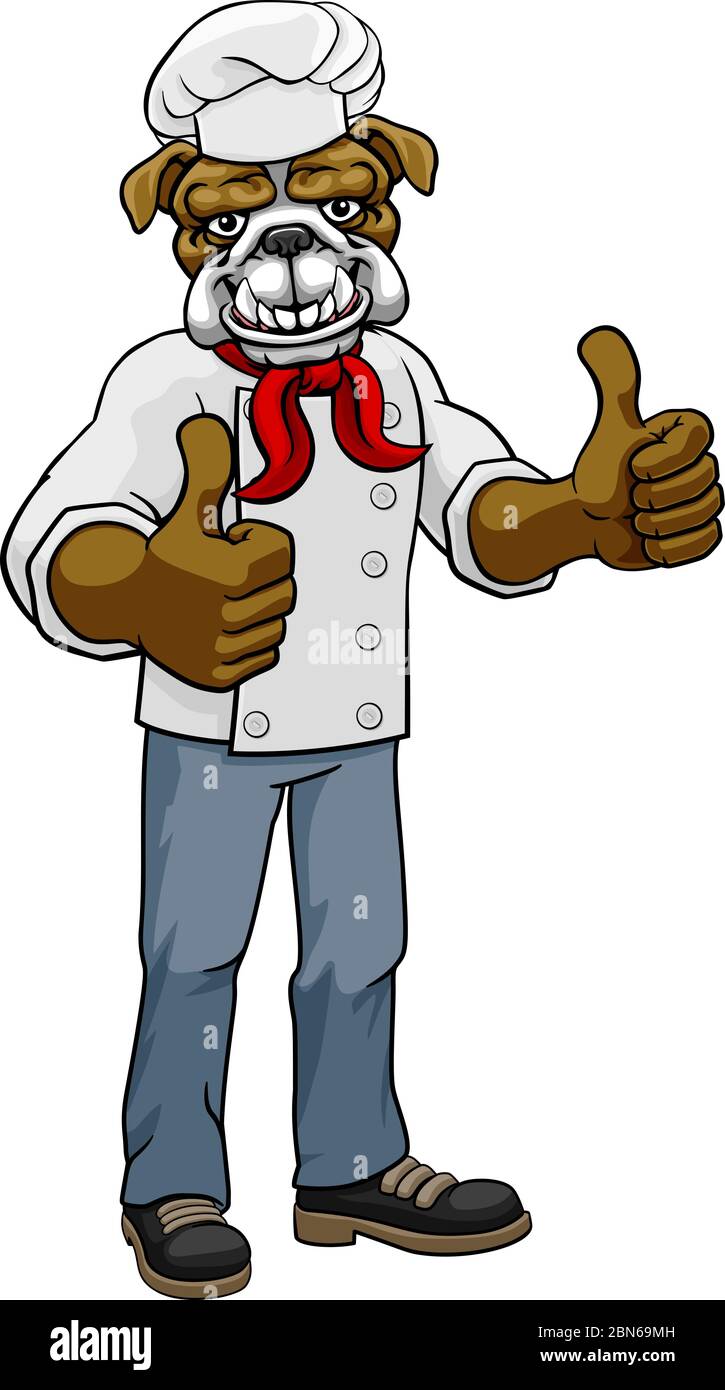 Bulldog Chef Mascot Thumbs Up Cartoon Stock Vector Image & Art - Alamy