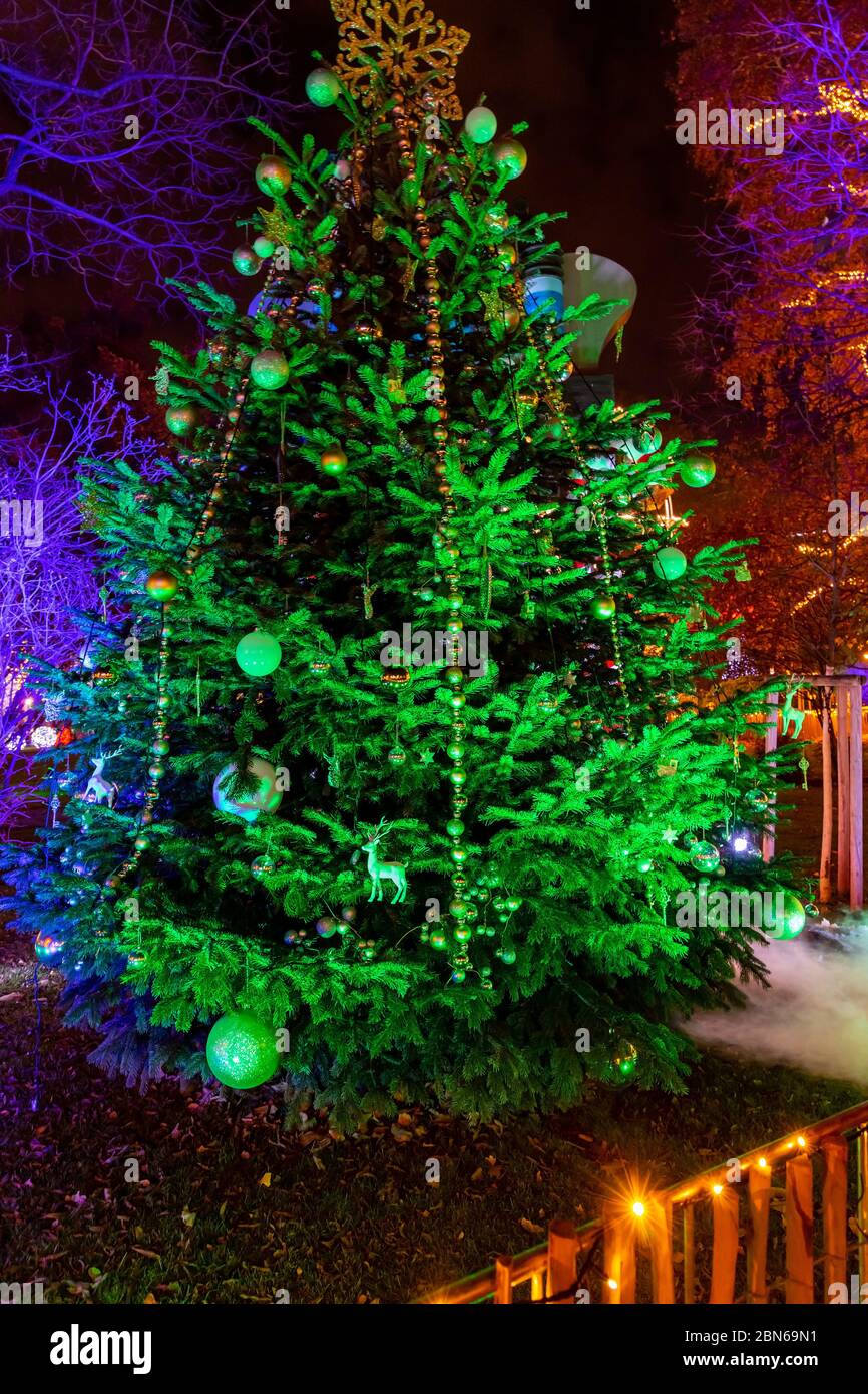Christmas tree in Vienna, Austria Stock Photo - Alamy