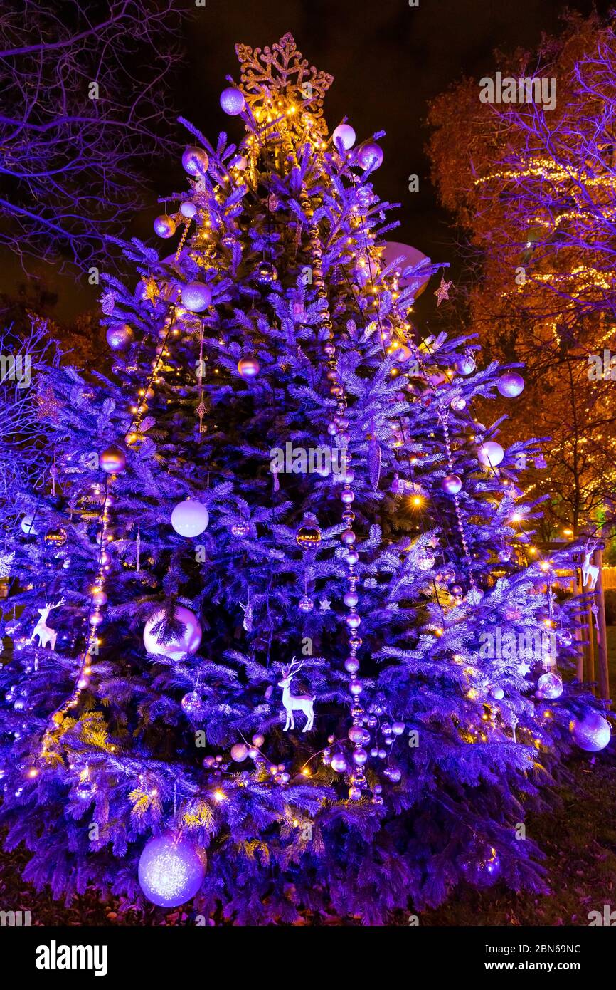 Christmas tree in Vienna, Austria Stock Photo - Alamy