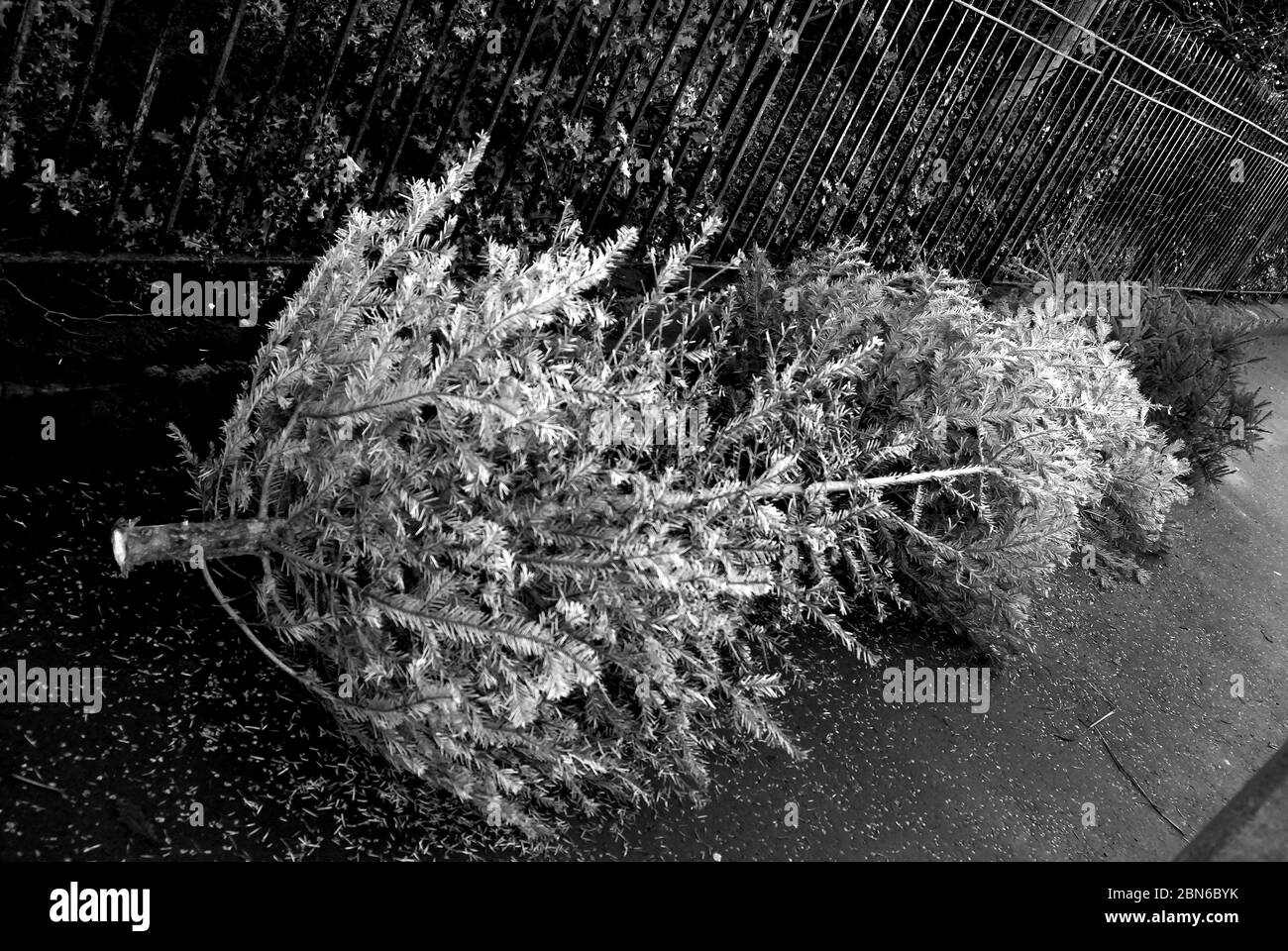 Santa claus merry christmas happy Black and White Stock Photos & Images ...