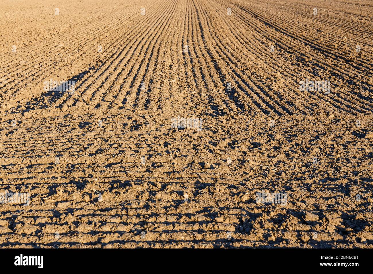 Furrows row pattern in a plowed field prepared for planting crops in ...