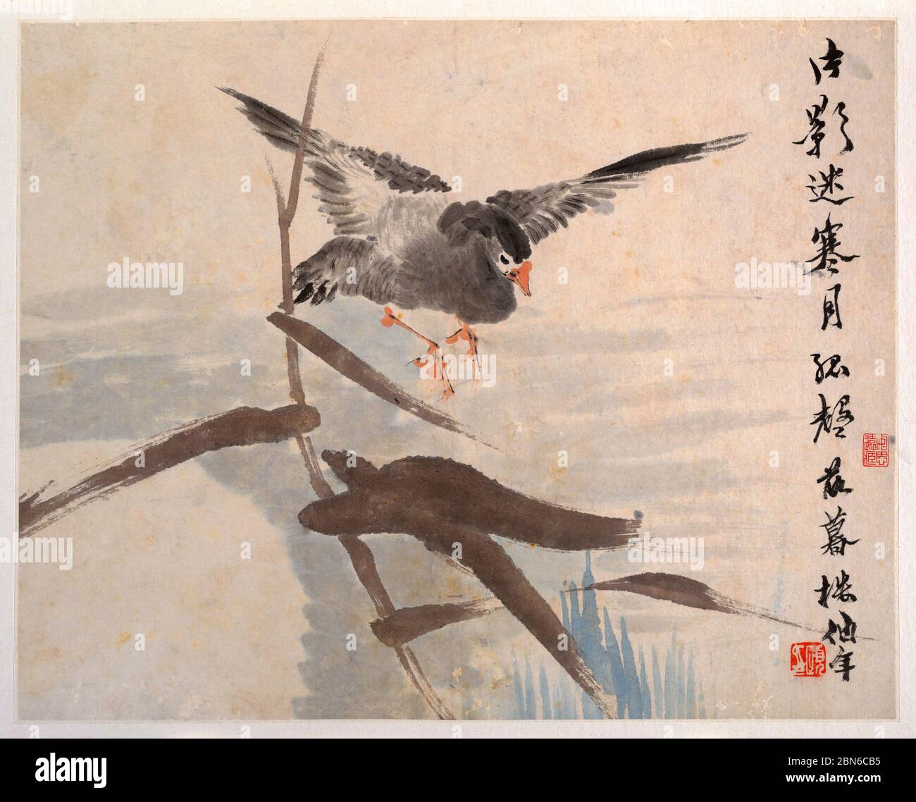 Eight leaves hi-res stock photography and images - Alamy