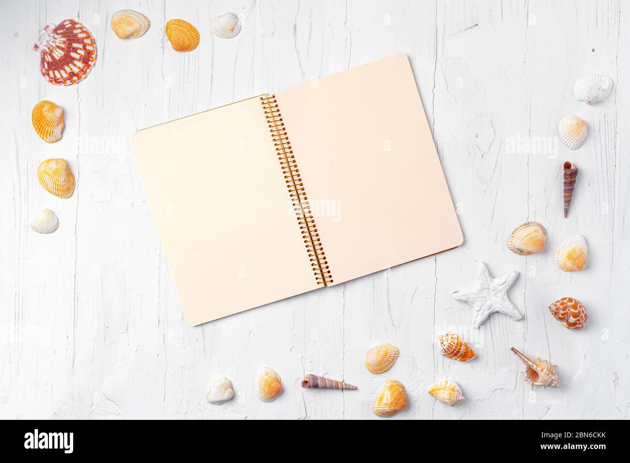Open notepad with sea shells on white wooden background Stock Photo - Alamy