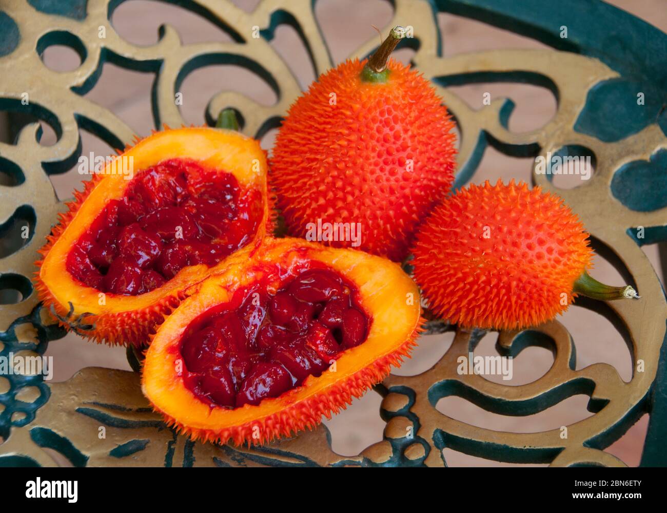 Thailand: Gac fruit (Momordica cochinchinensis), Chiang Mai, northern ...