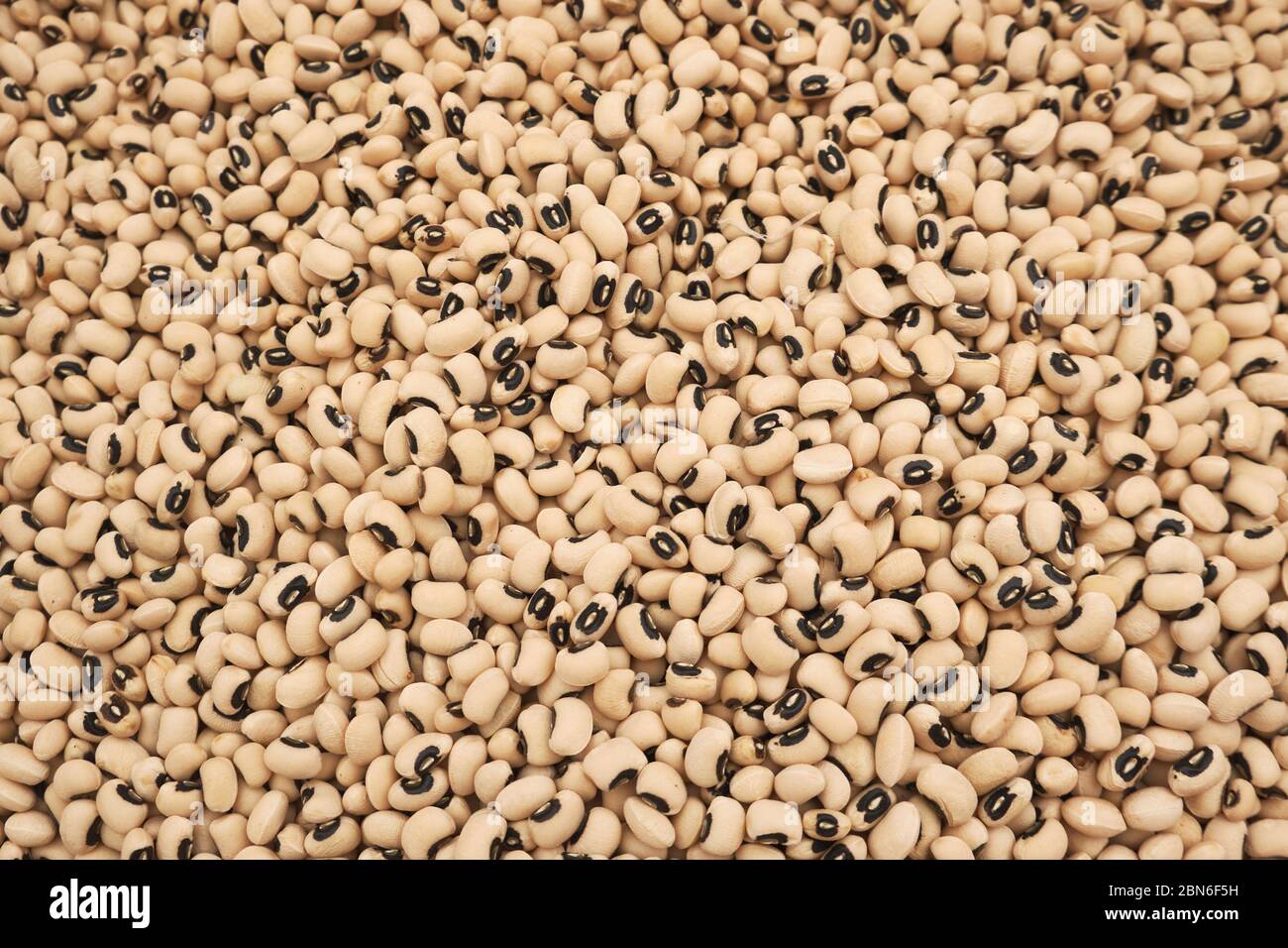 white kidney beans background or texture concept Stock Photo - Alamy