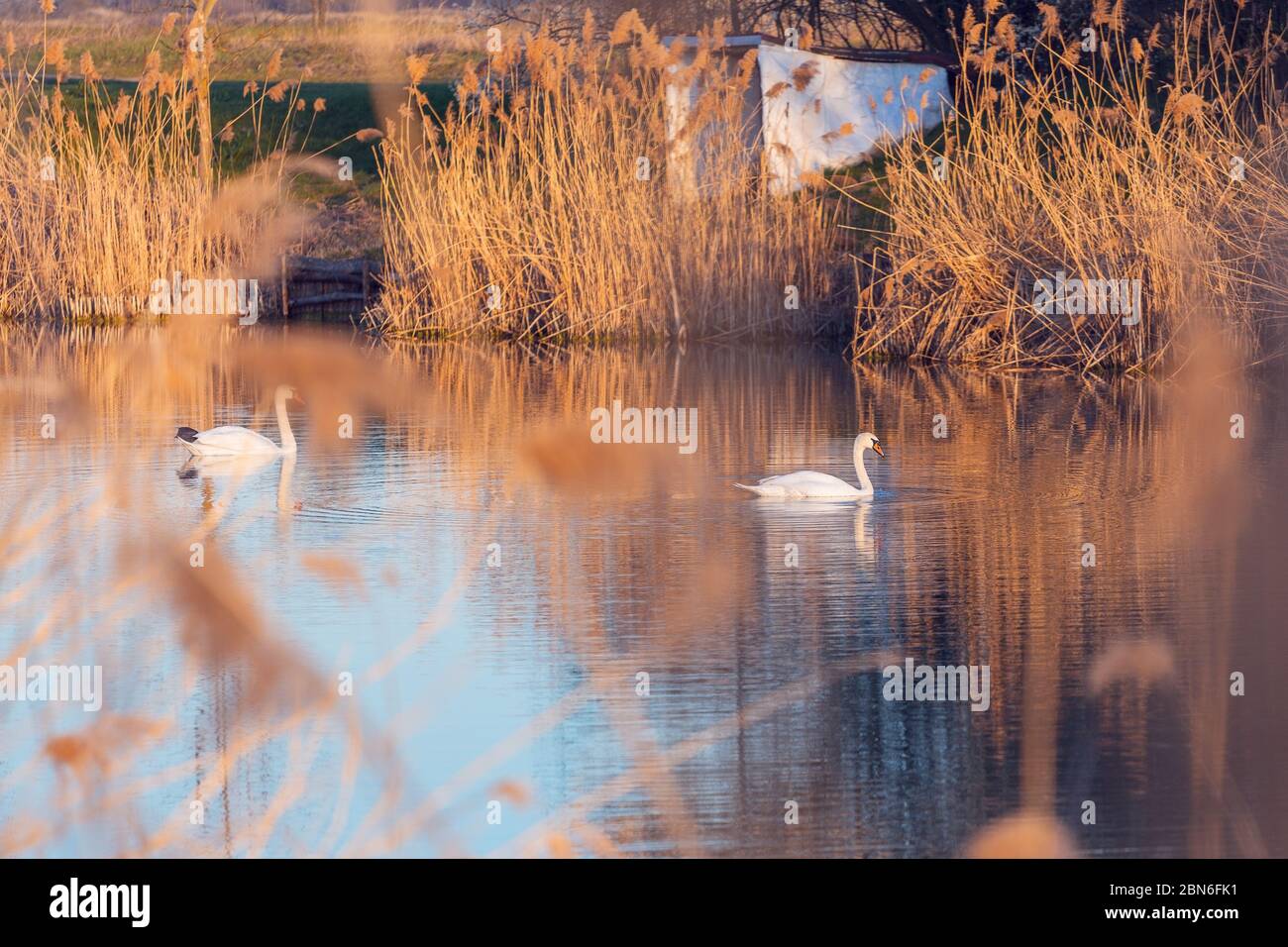 Beautiful scene silhouette small hi-res stock photography and images ...