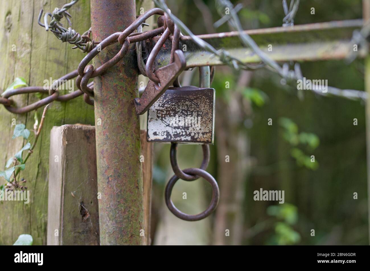 Open Metal Gate High Resolution Stock Photography and Images - Alamy