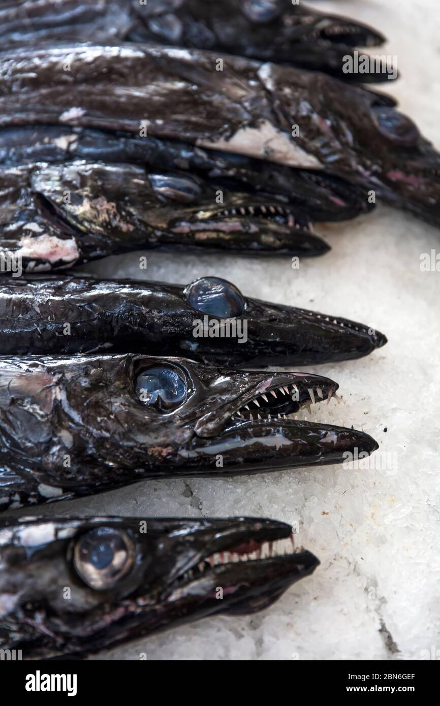 Espada fish hi-res stock photography and images - Alamy