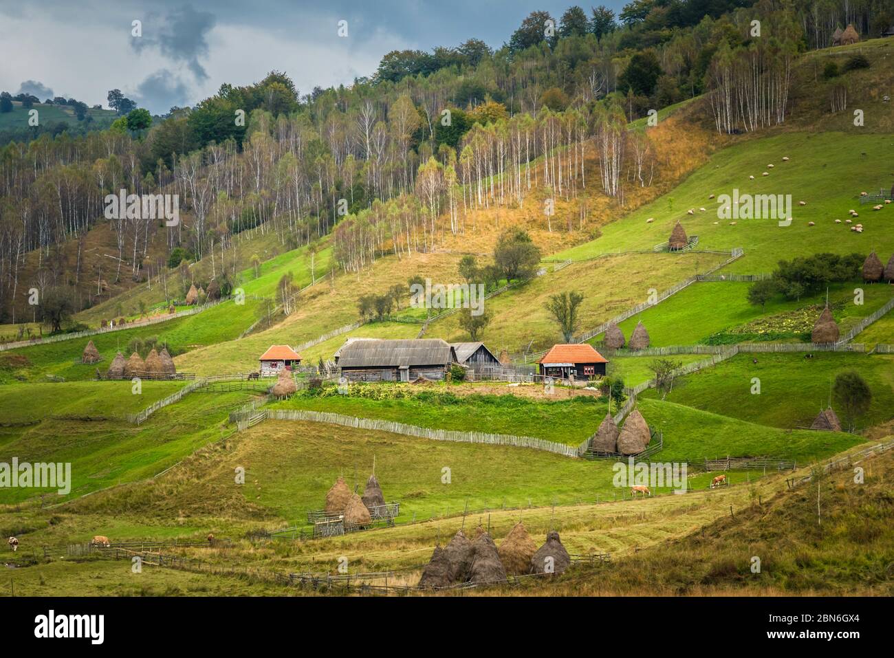 Beautiful and peaceful rural scenery in the Carpathian mountains ...