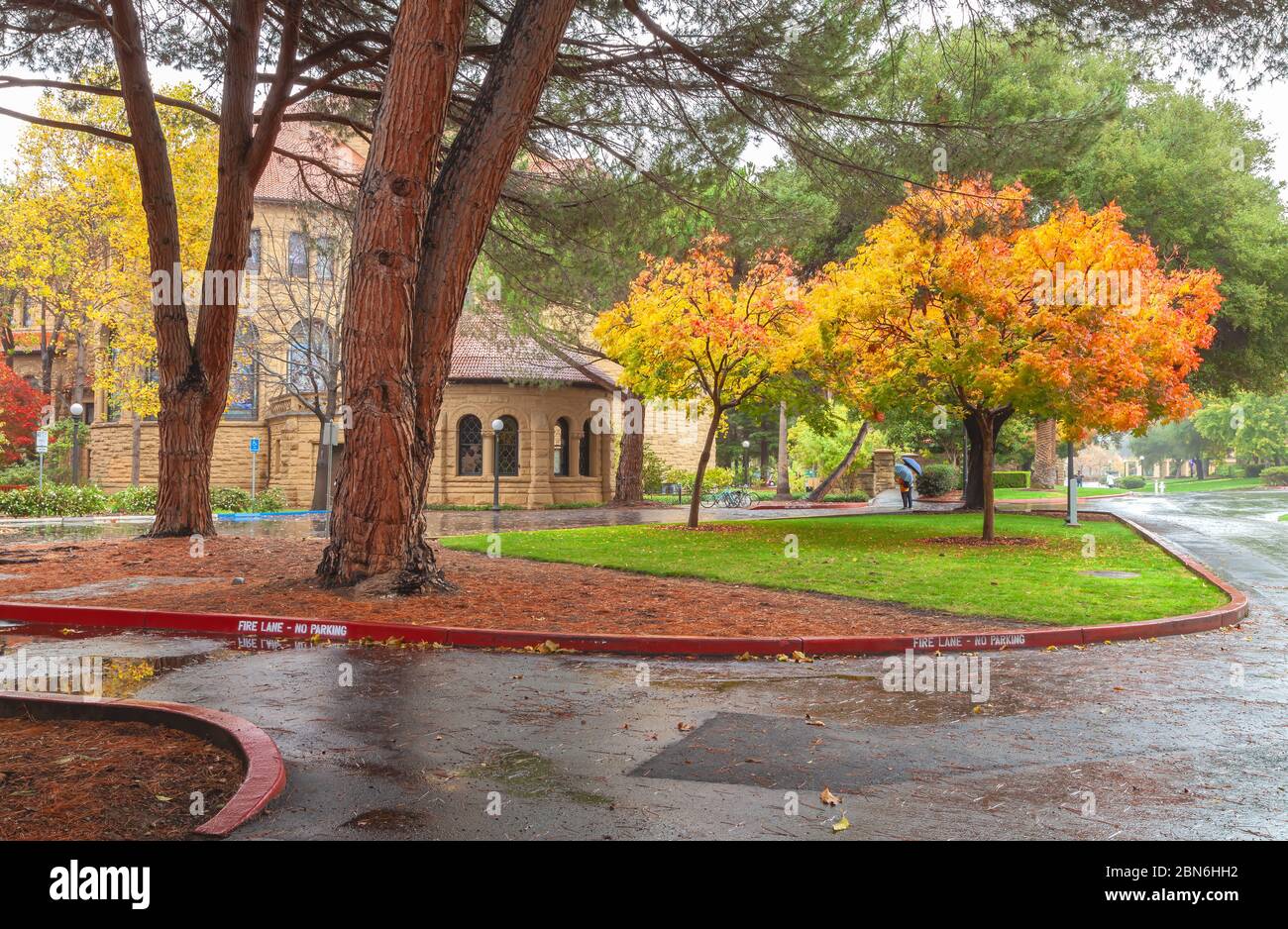 Stanford University campus on autumnal rainy day, Palo Alto, California ...