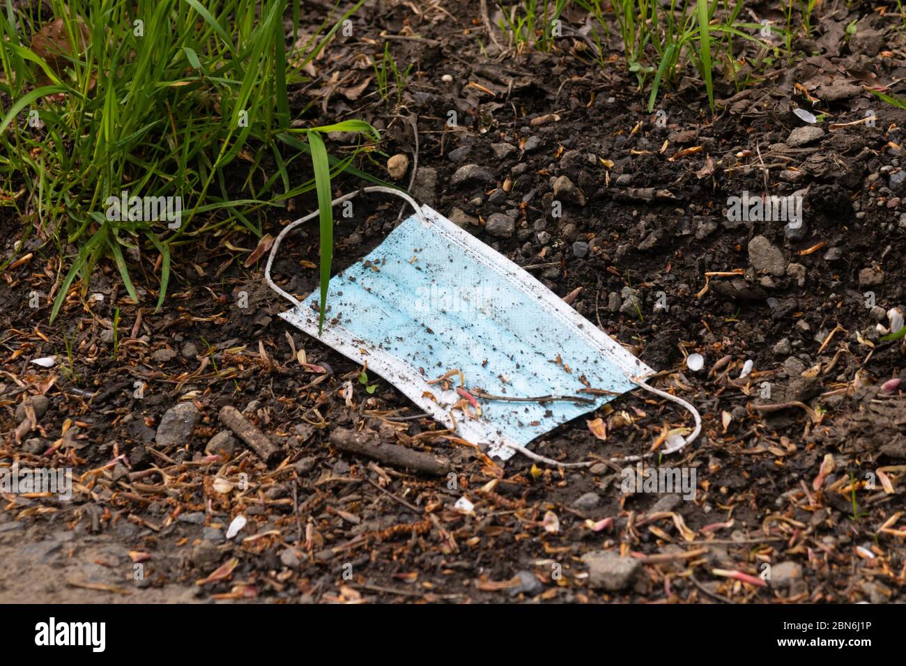 A discarded surgical face mask lying in dirt Stock Photo - Alamy