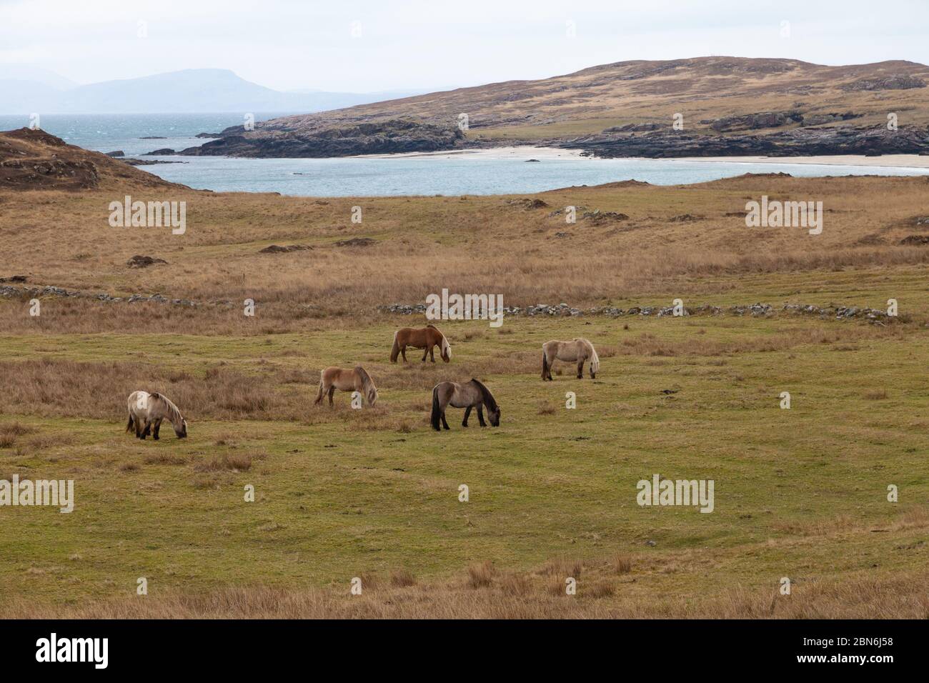 Rum bay hi-res stock photography and images - Alamy