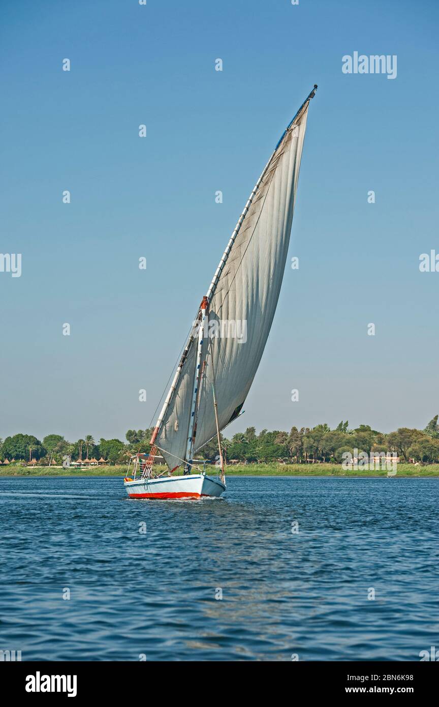 Traditional Egyptian felluca river boat sailing on the Nile Stock Photo ...