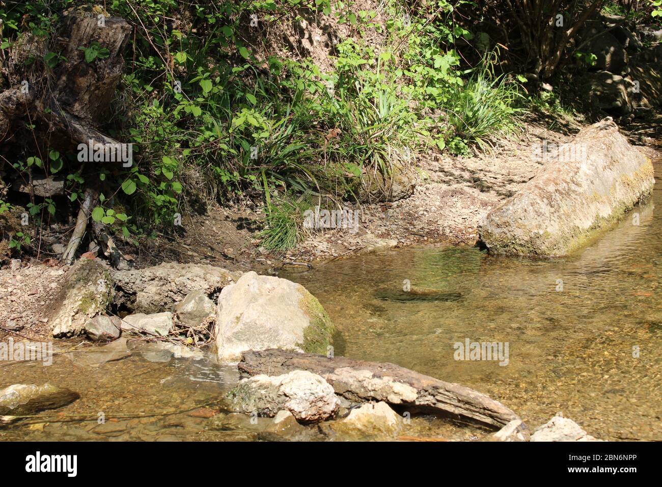 silence on a river bank Stock Photo - Alamy