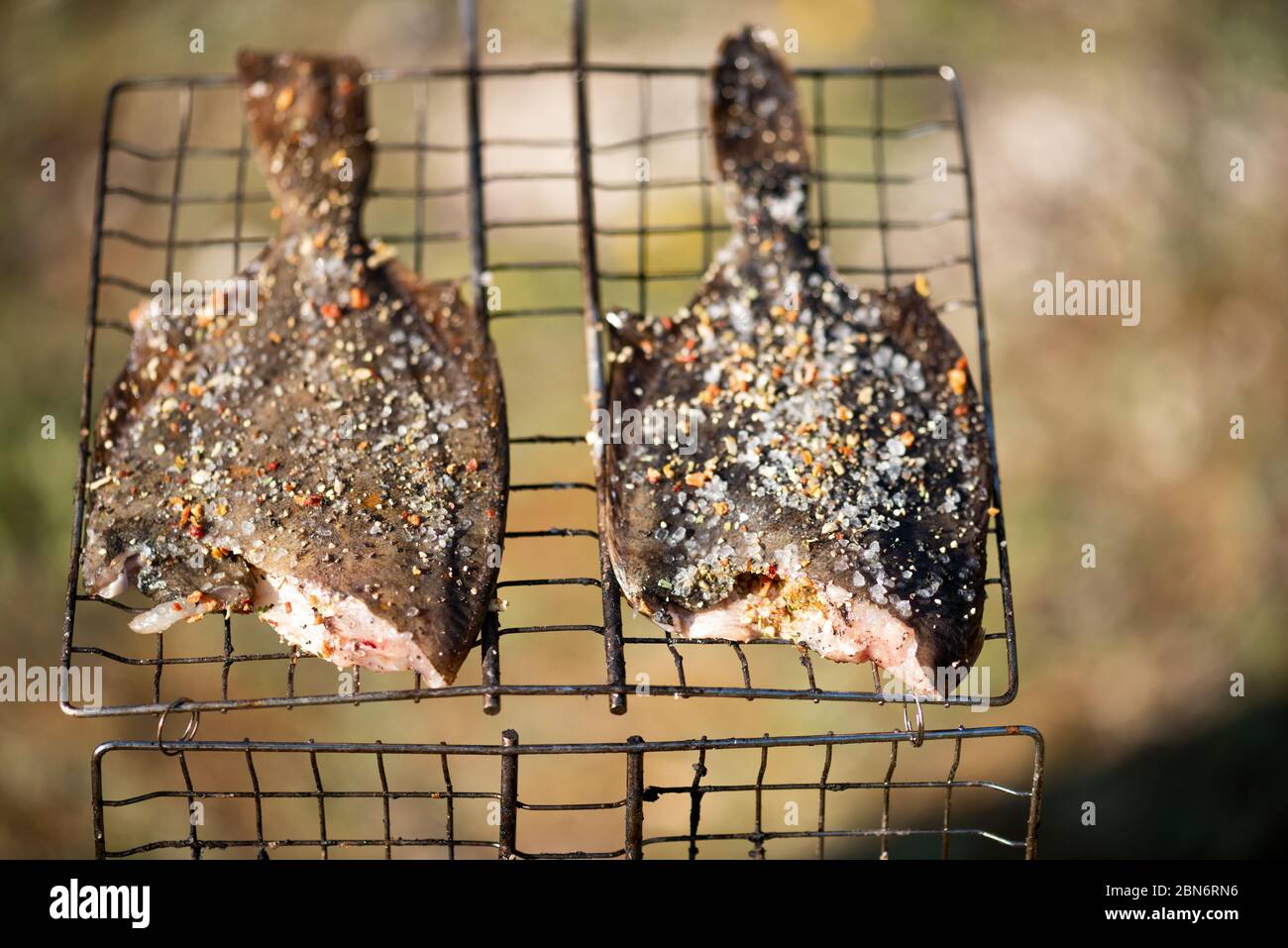 Grilled fish flounder lying on portable grill. Cooking outdoors, dinner ...