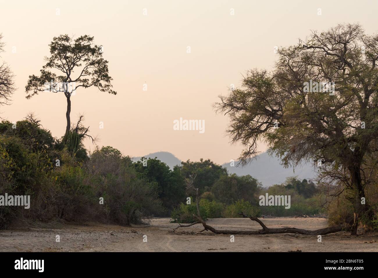 Zimbabwe river dry hi-res stock photography and images - Alamy