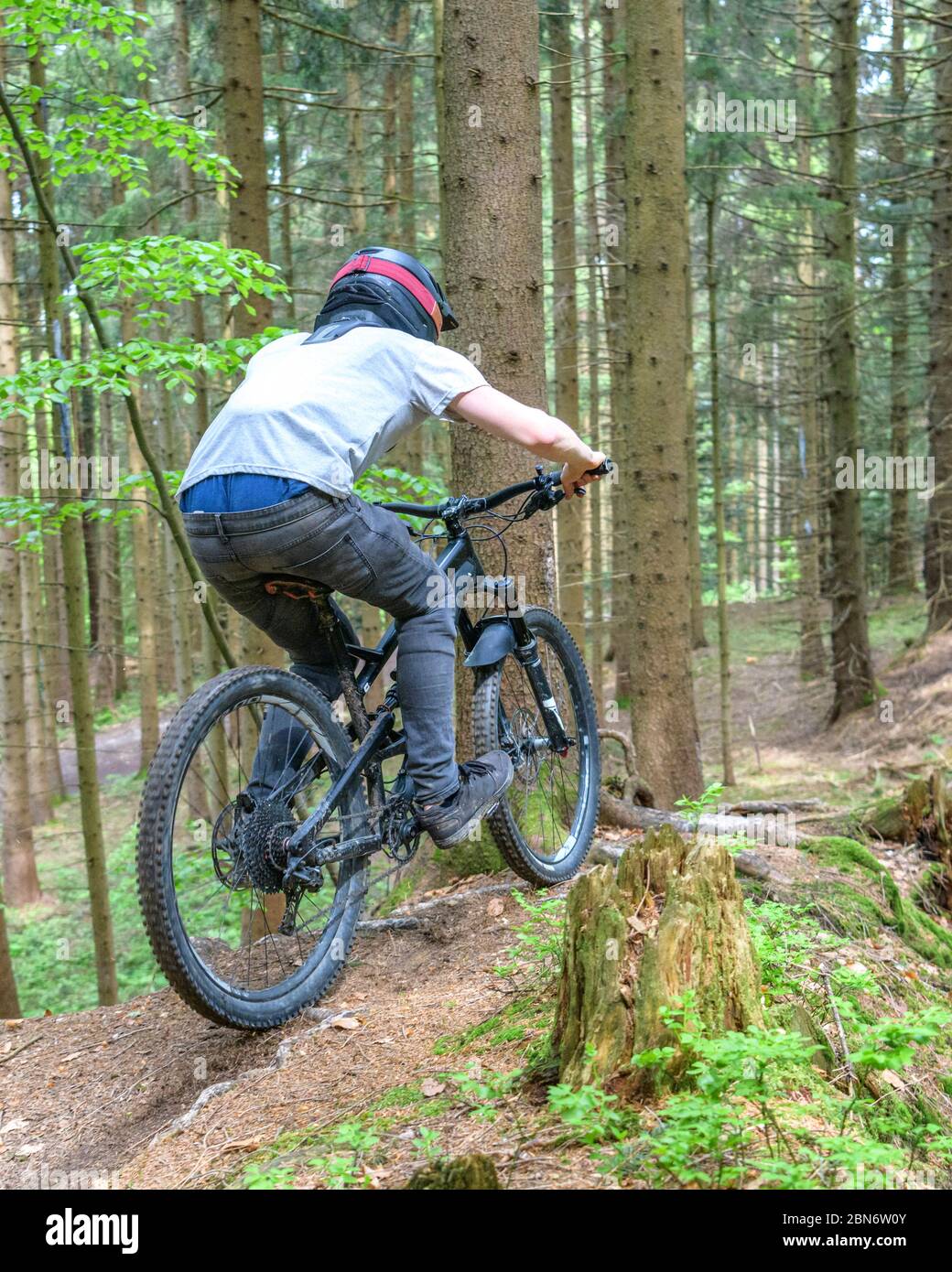 Mountainbike riders doing a courageous downhill on forest trails Stock ...