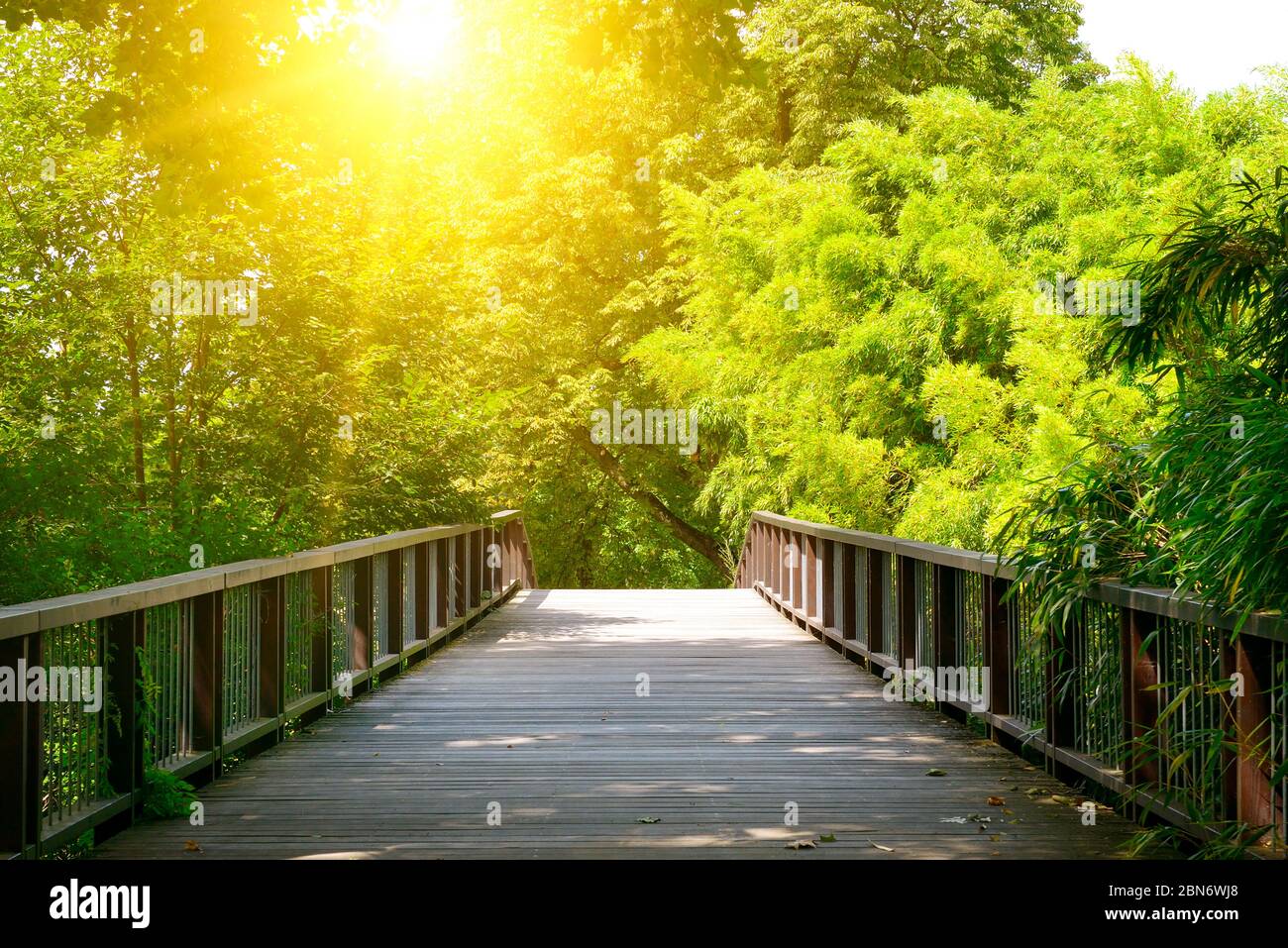 Old wooden bridge in forest Stock Photo - Alamy