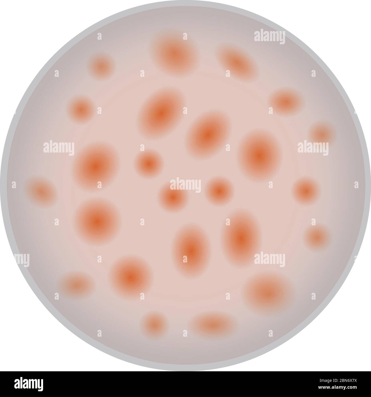 Antibiotic sensitivity test Stock Vector Image & Art - Alamy