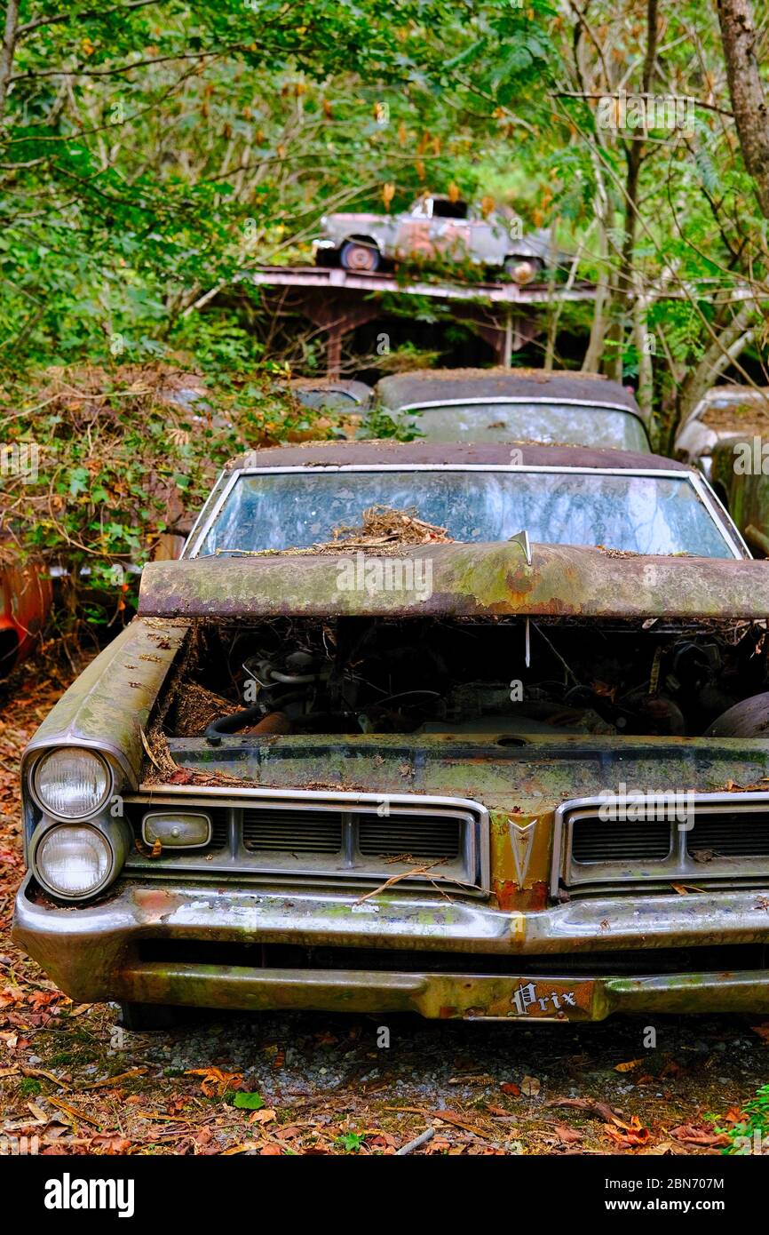 Old rusty pontiac hi-res stock photography and images - Alamy