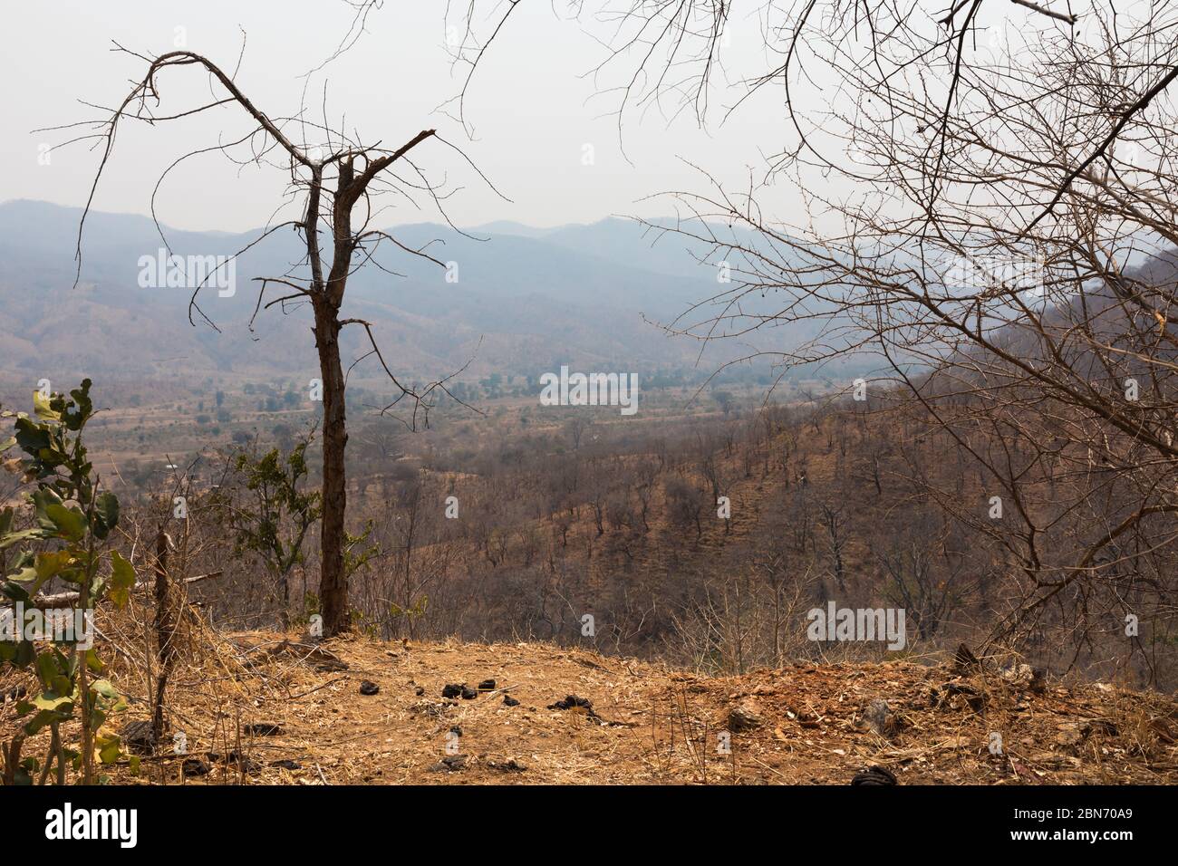 Landscape, Chirundu district, Zambia Stock Photo - Alamy