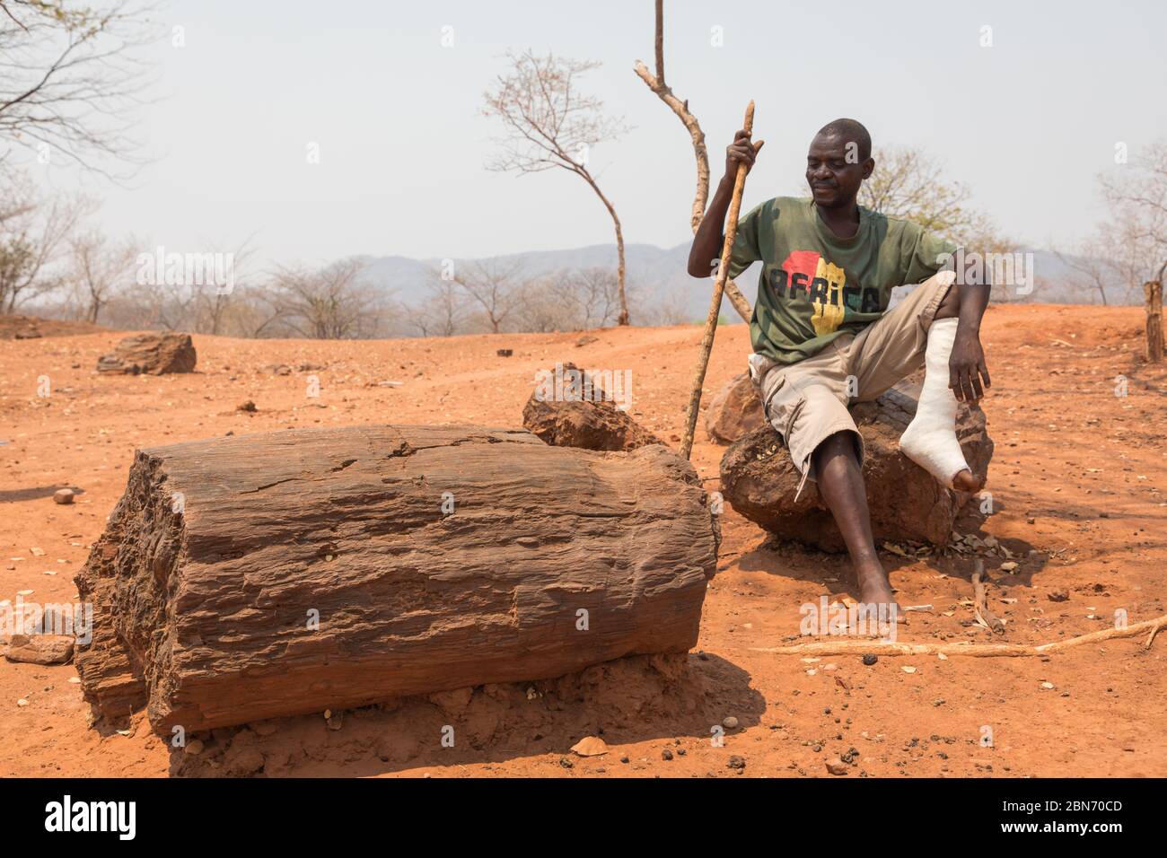 Chirundu fossil forest hi-res stock photography and images - Alamy