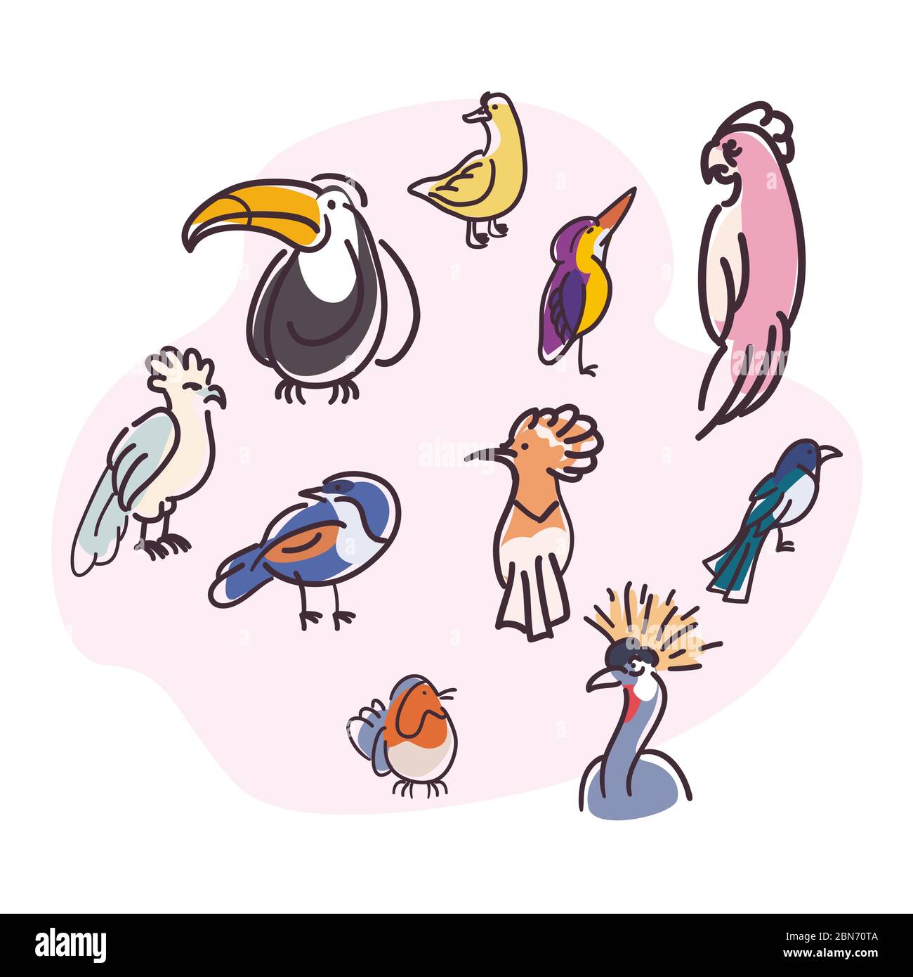birds cartoons design, Animals feather wildlife and beak theme Vector ...