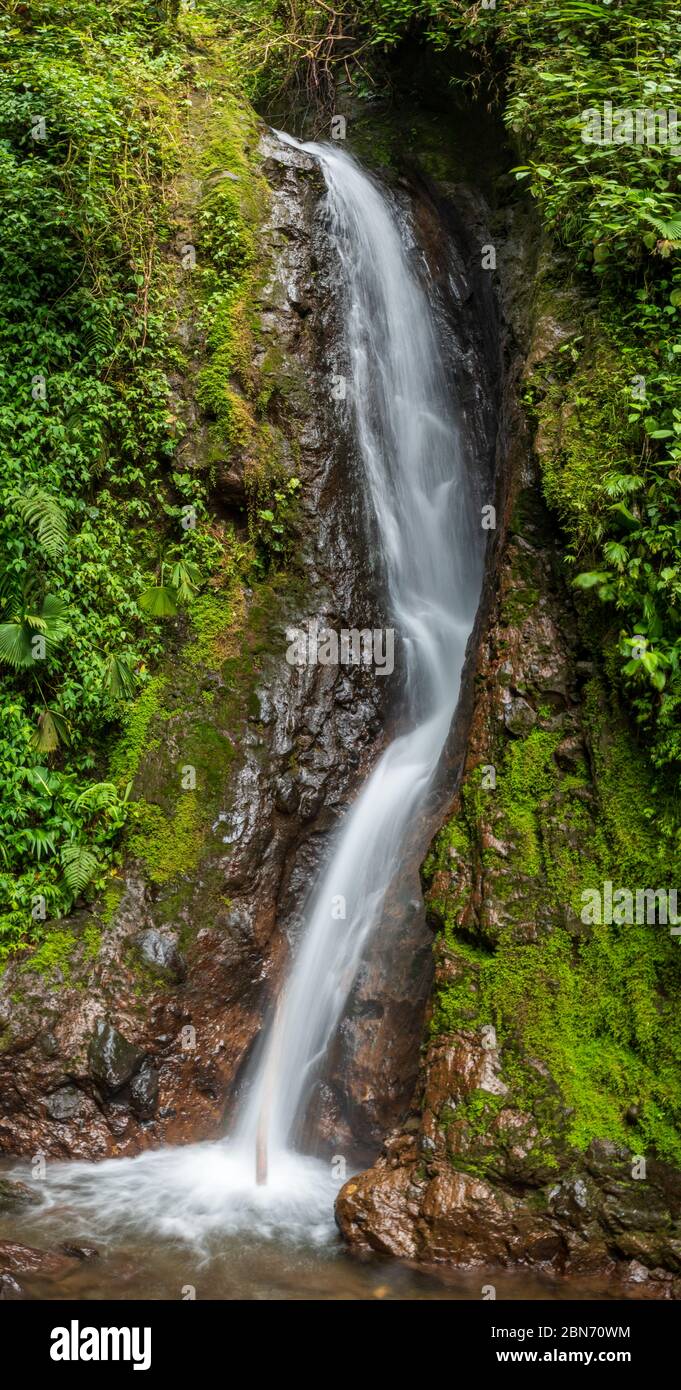Waterfall The Amazon Rainforest