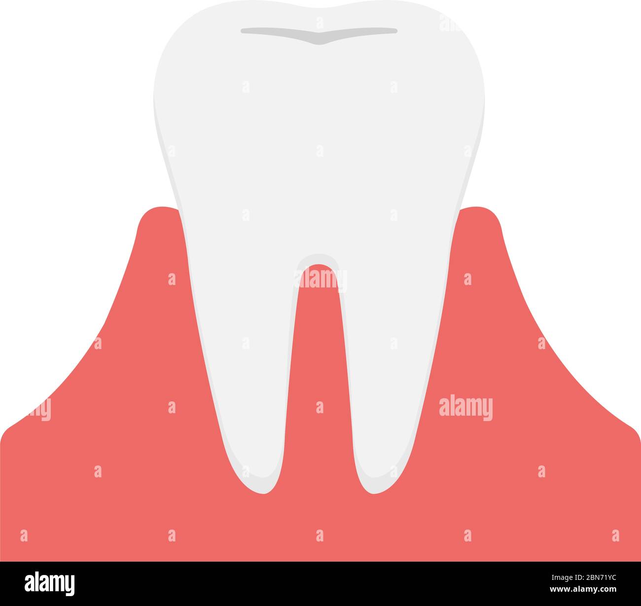 Simple tooth flat vector illustration (no text Stock Vector Image & Art ...