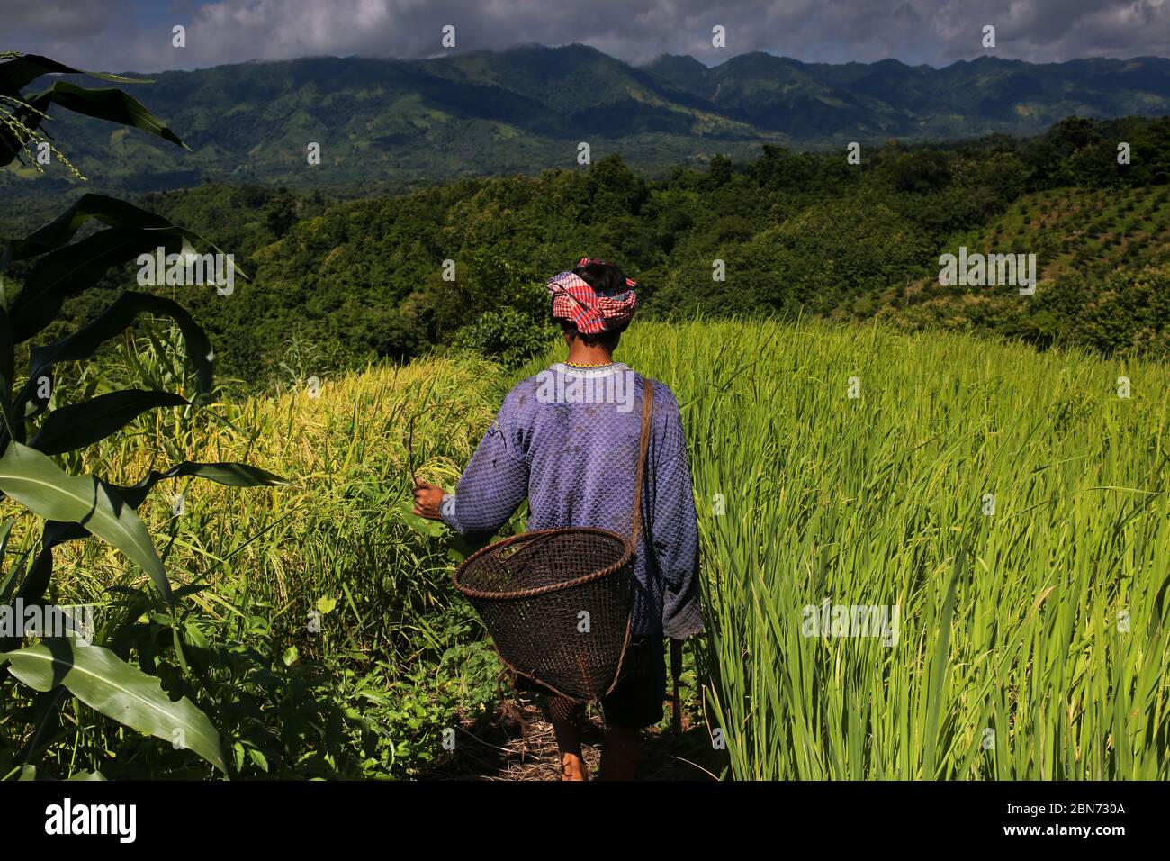 Culture jhum hi-res stock photography and images - Alamy