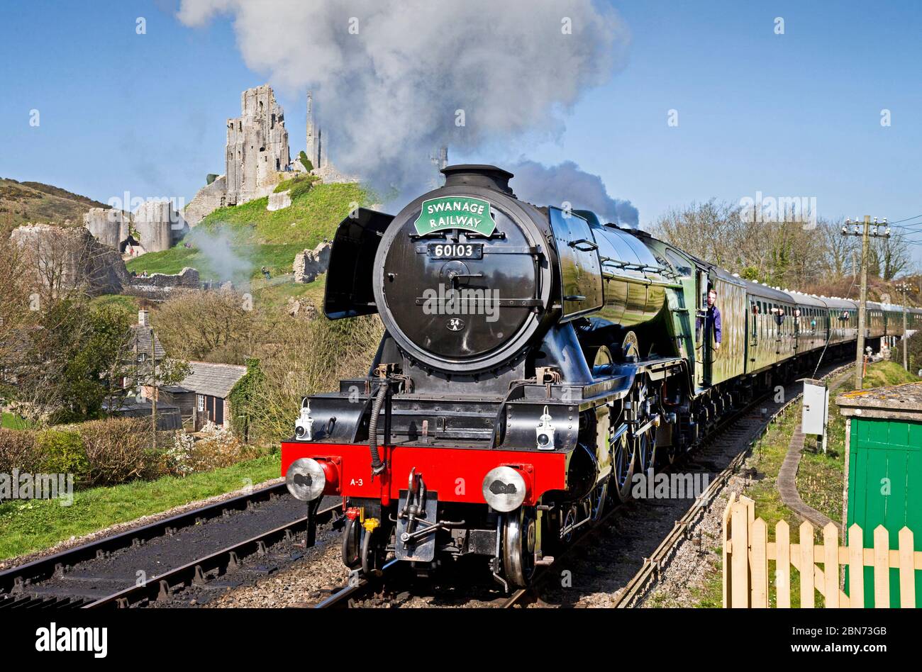 The Flying Scotsman running near Corfe Castle Stock Photo - Alamy