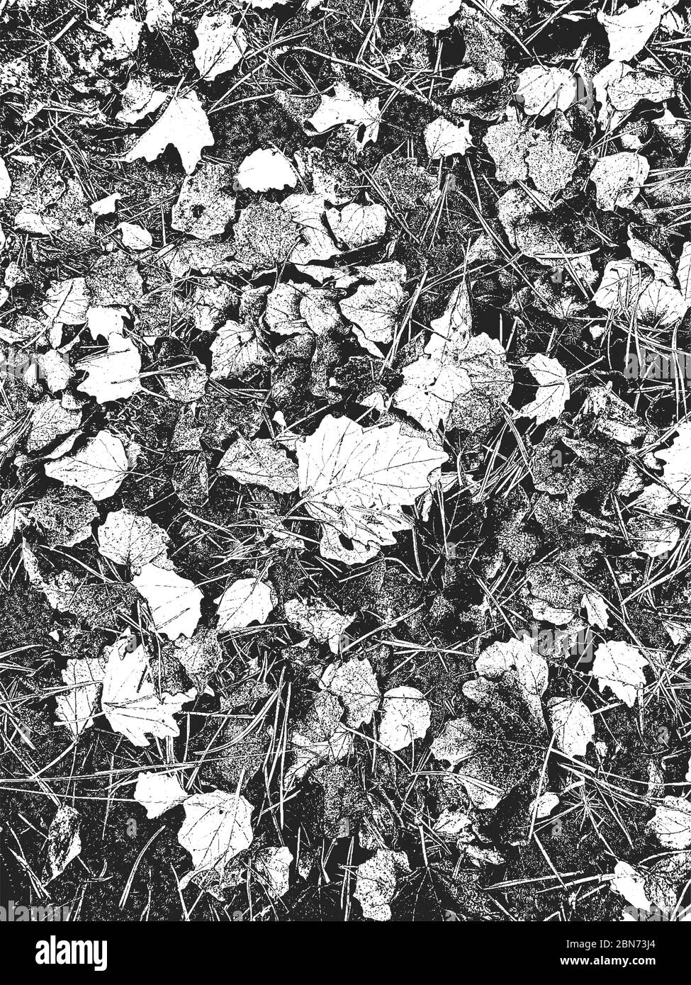 Dry leaf texture nature Stock Vector Images - Alamy