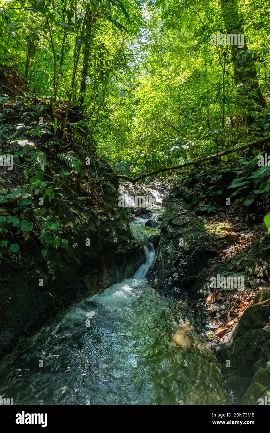 Amazon rainforest landscape waterfall hi-res stock photography and ...