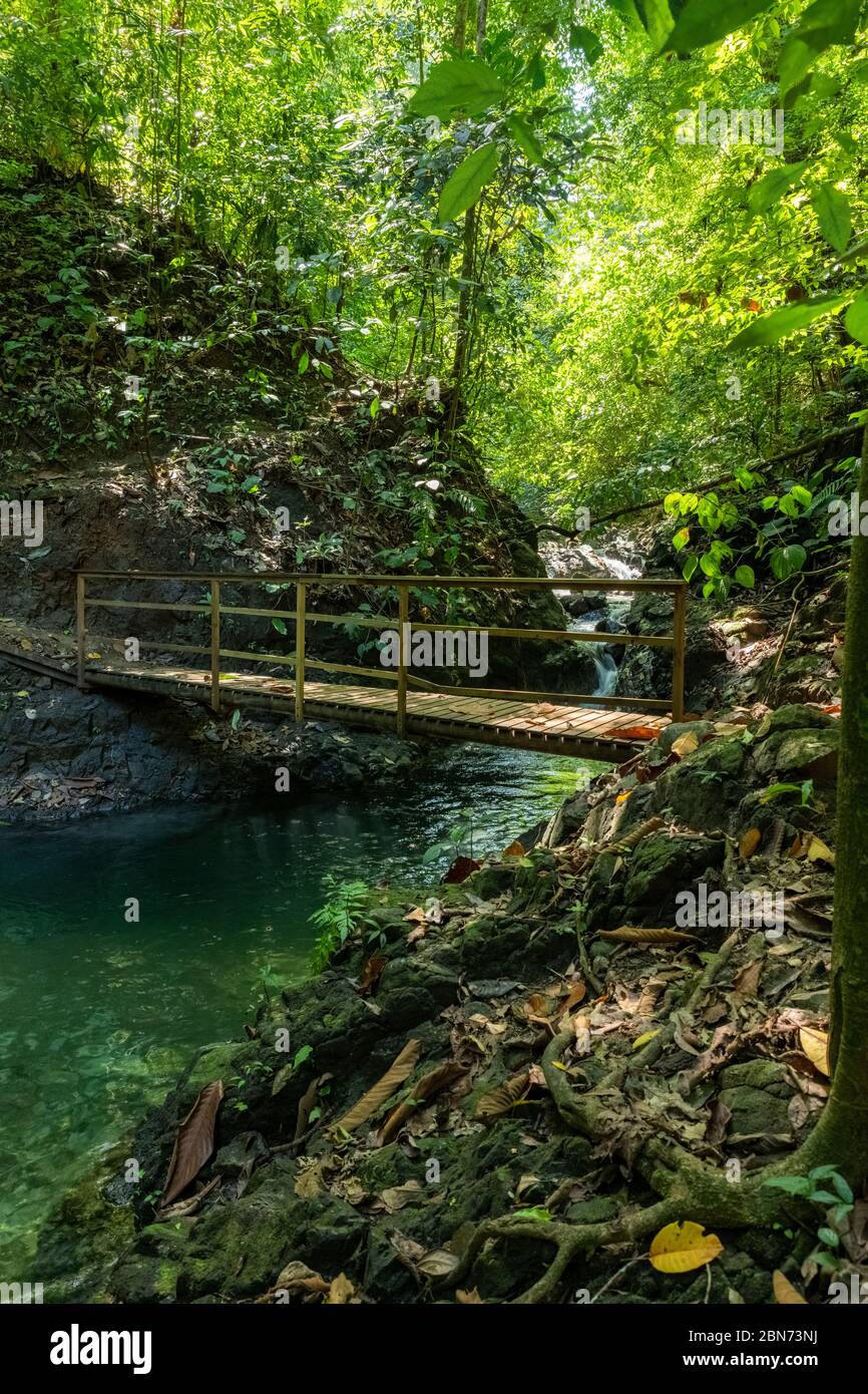 Rainforest river lake jungle waterfall hi-res stock photography and ...