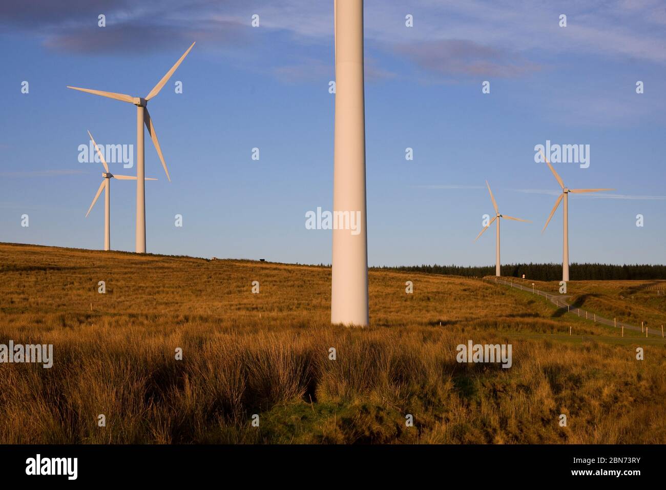 Wind farm at tangy, Kintyre, Argyll Stock Photo - Alamy