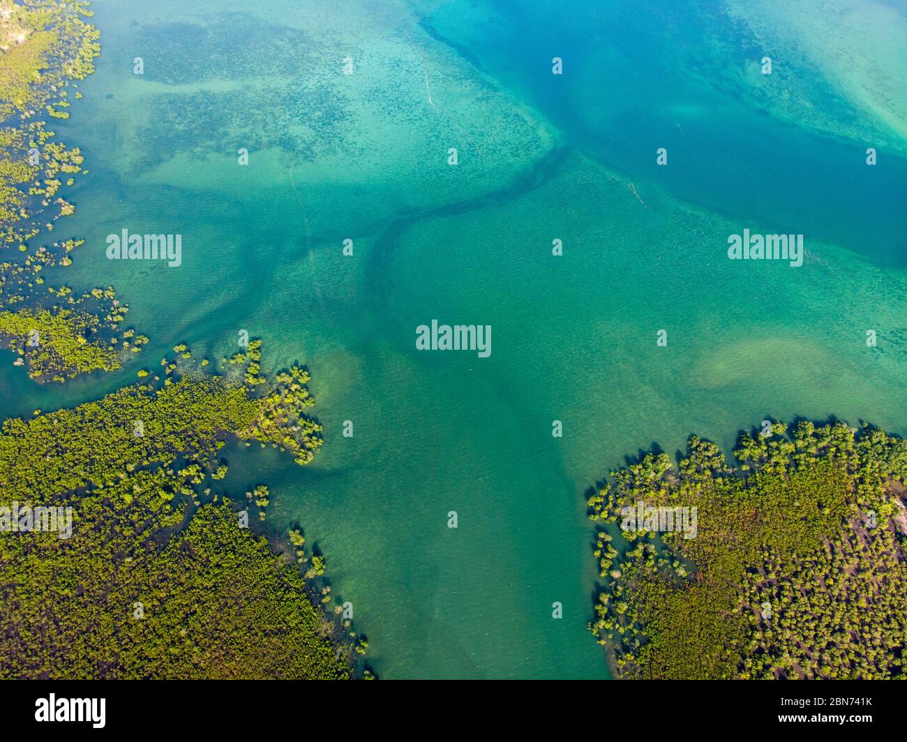 Pemba island forest hi-res stock photography and images - Alamy