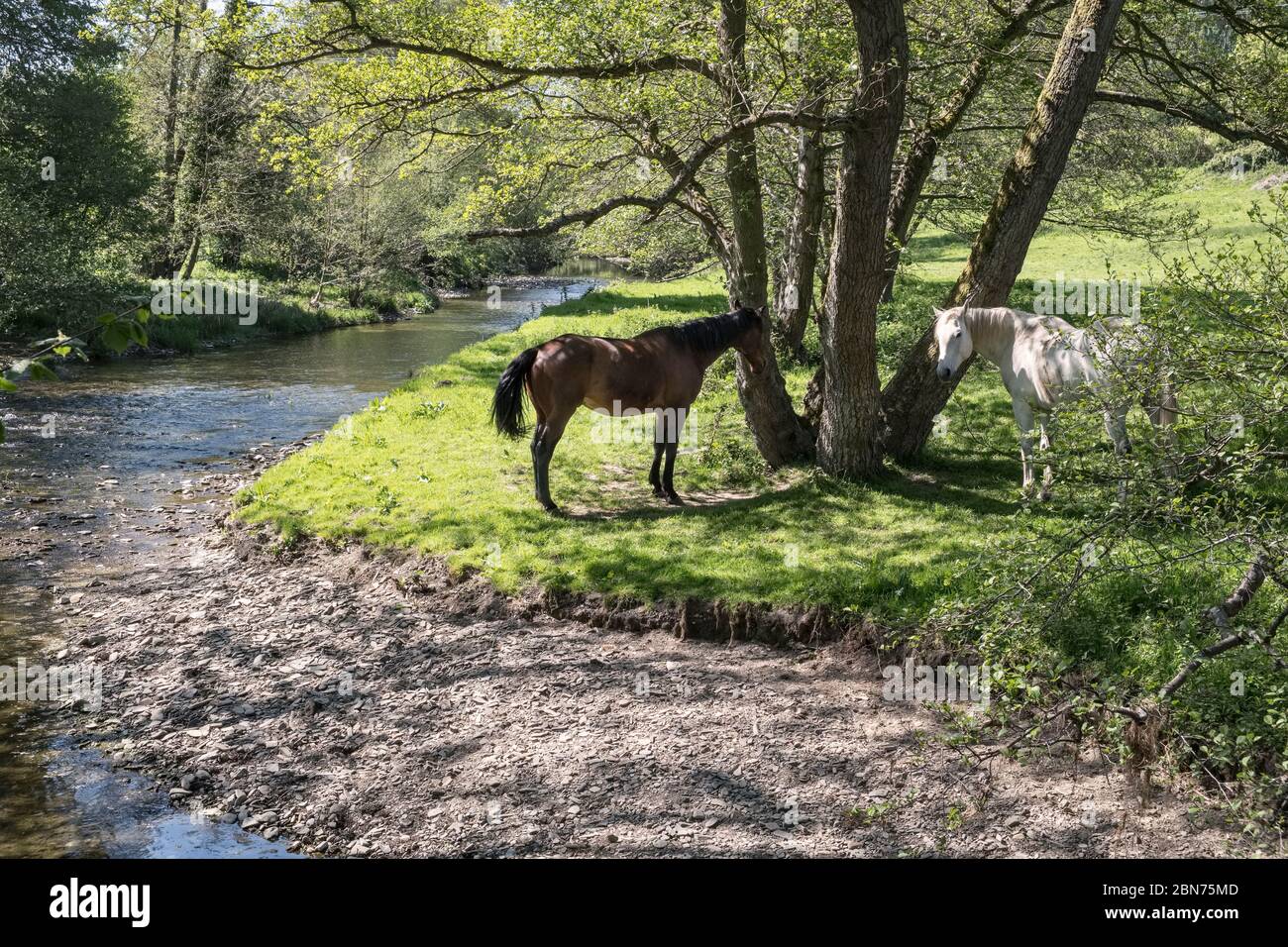 English country river landscape hi-res stock photography and images - Alamy